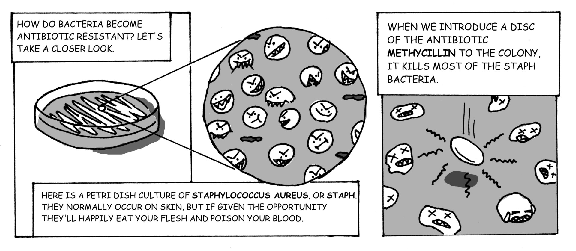 Antibiotic Resistant Bacteria Comic