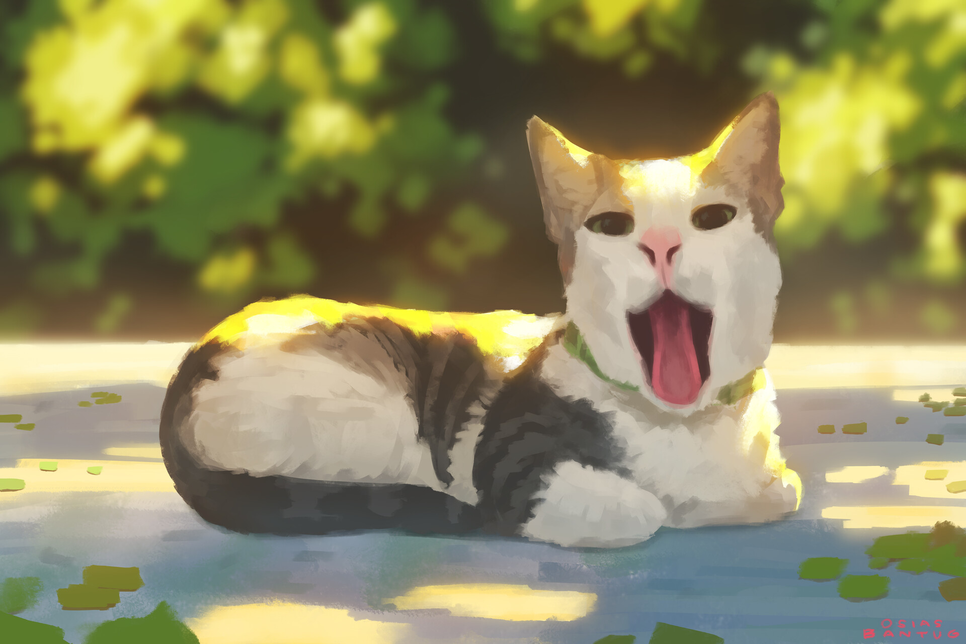 ArtStation - Sunbathing Cat