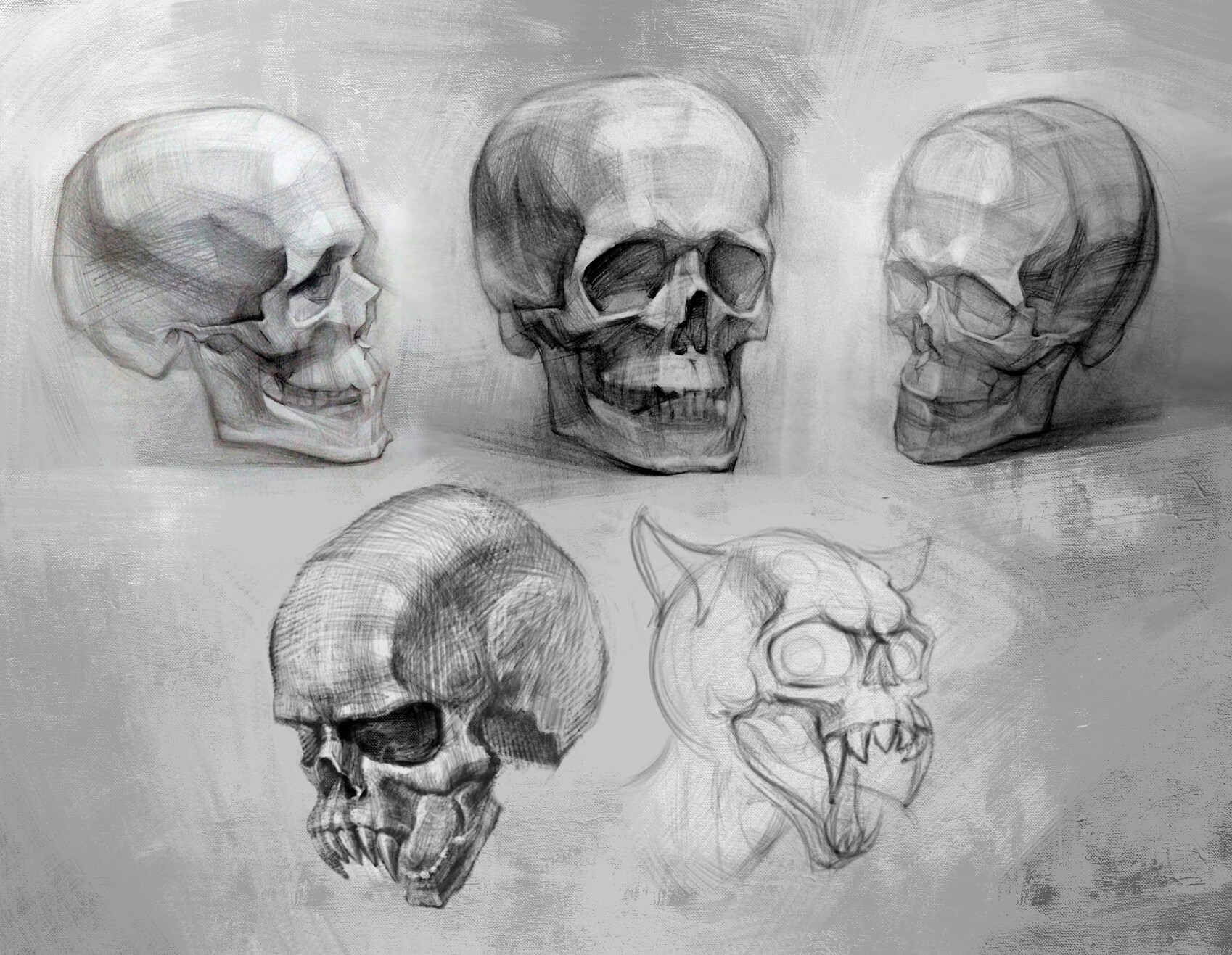 ArtStation - Skull studies