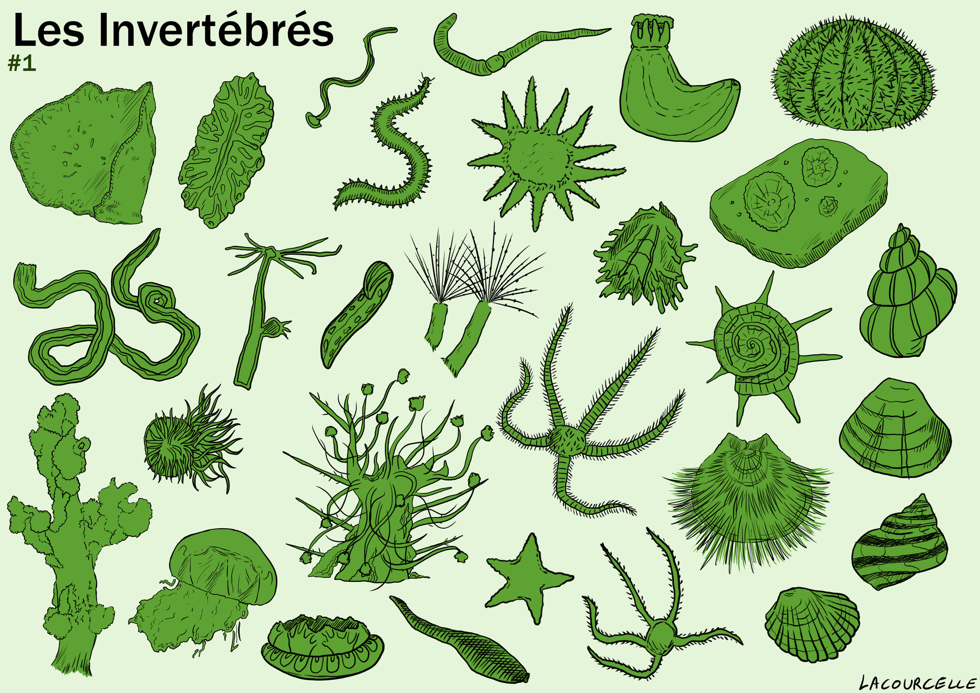 ArtStation - Les Invertébrés