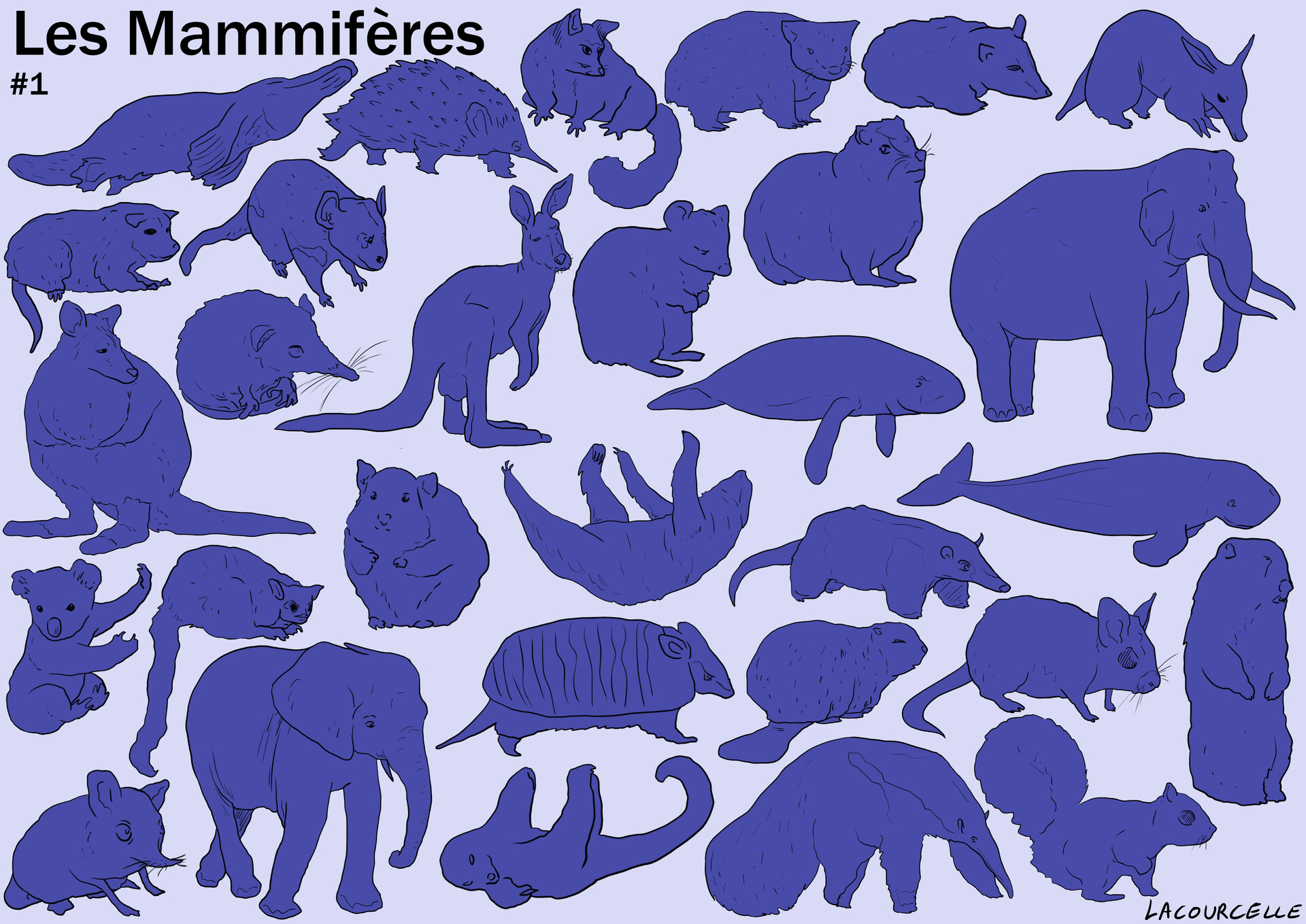 ArtStation - Les Mammifères