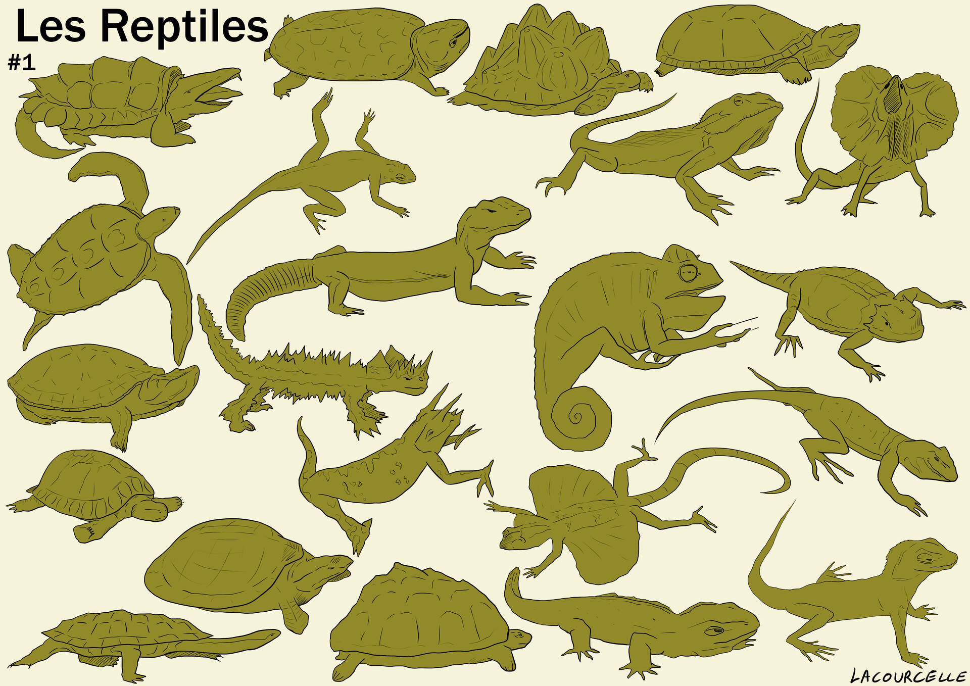 Colombe Lac - Les Reptiles