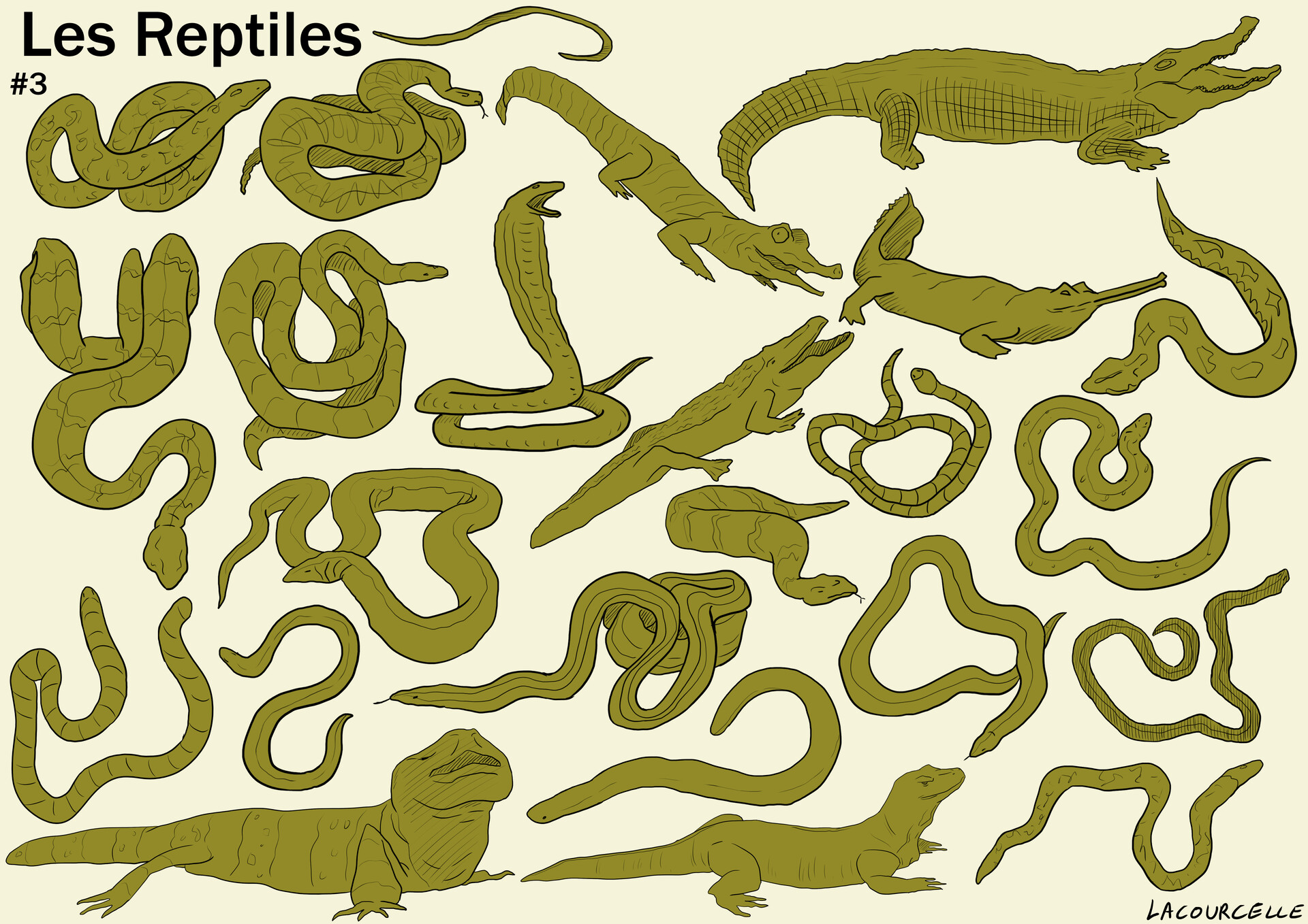 Colombe Lac - Les Reptiles