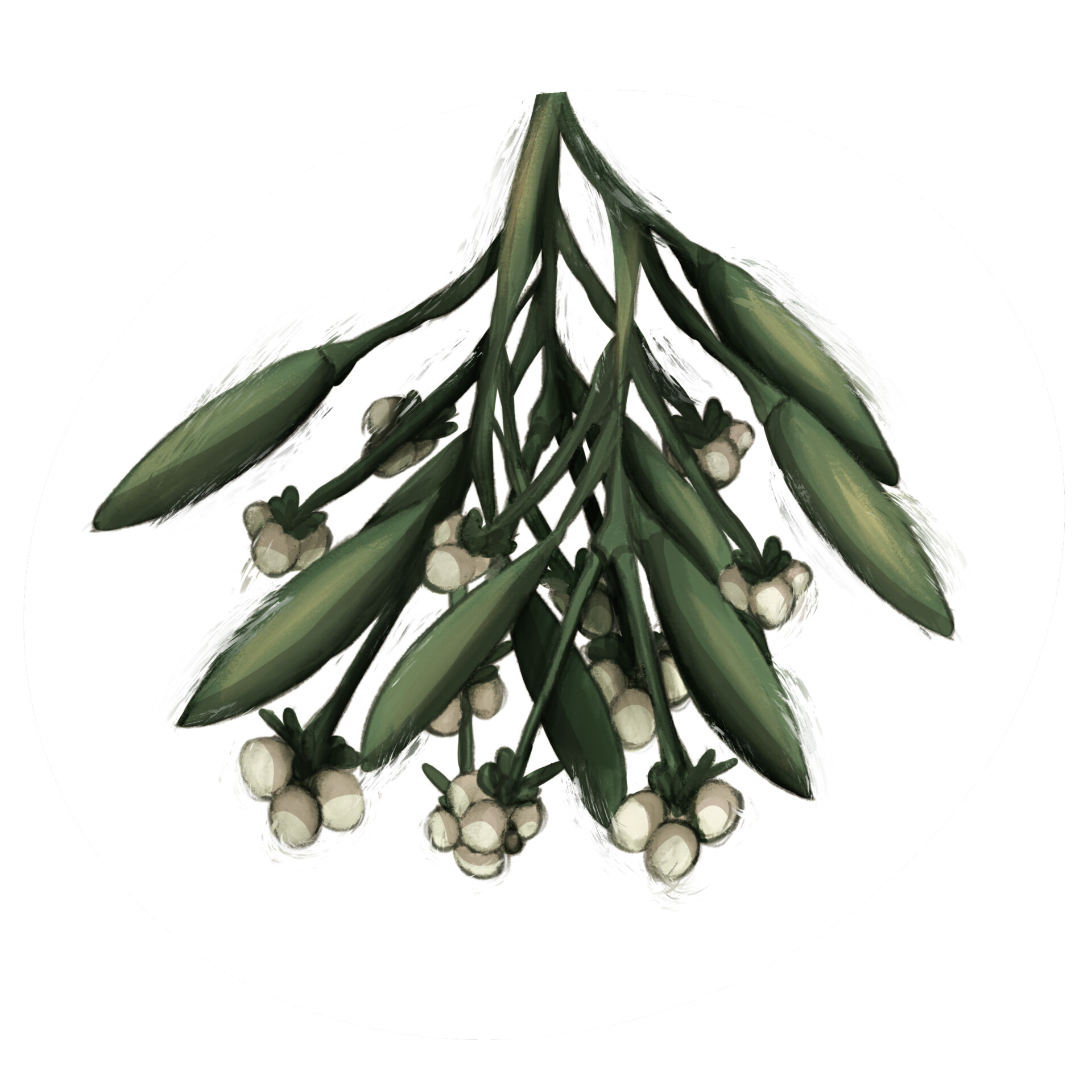 ArtStation - Mistletoe - RSPB Project