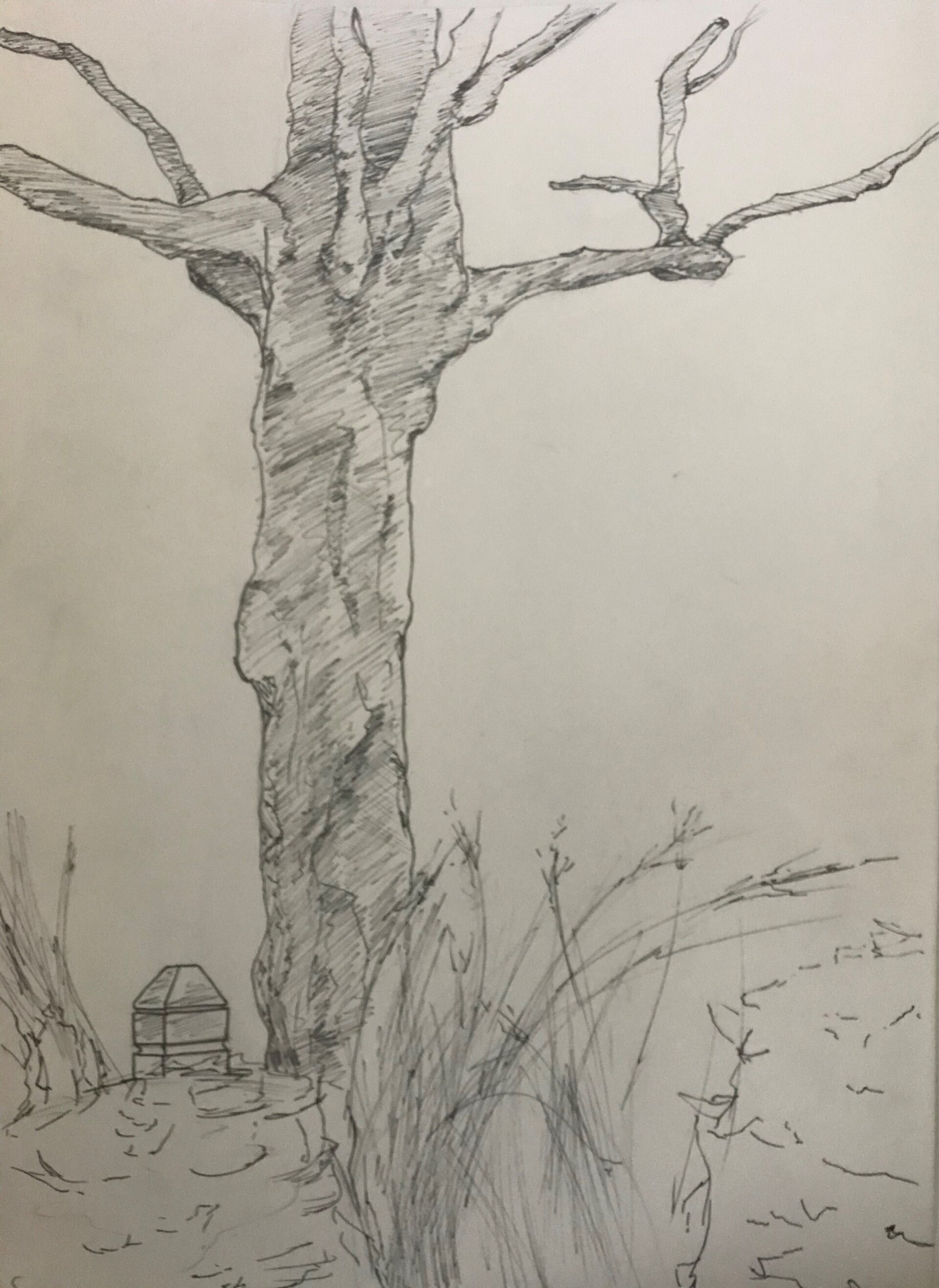 ArtStation - Outside sketching