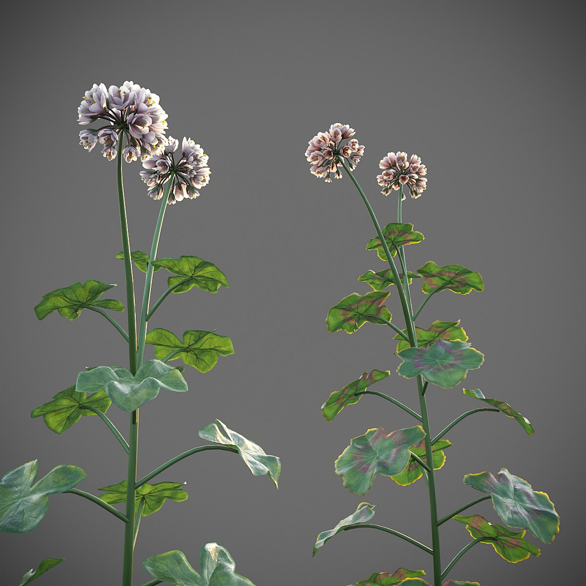 XFROG - GrowFX Flora