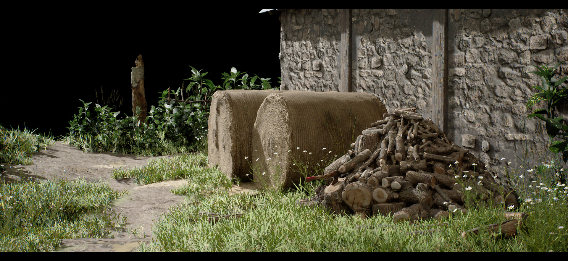 Carl Sims - Farm Diorama - Art Test