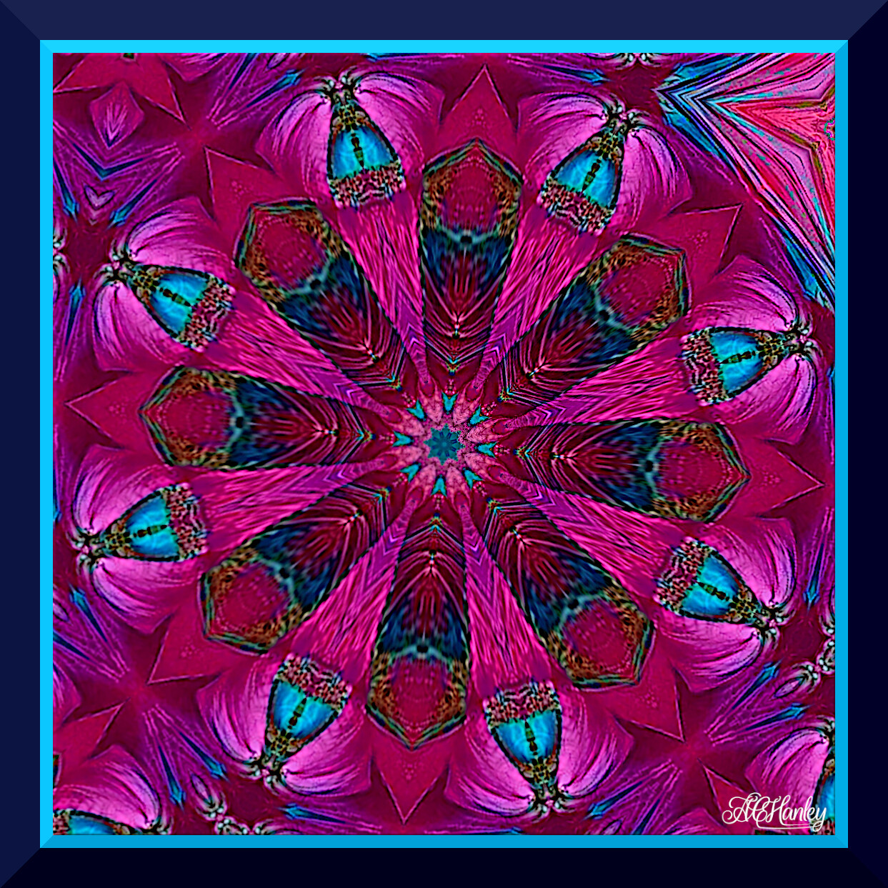 Angela Hanley - Digital Kaleidoscopes and Mandalas