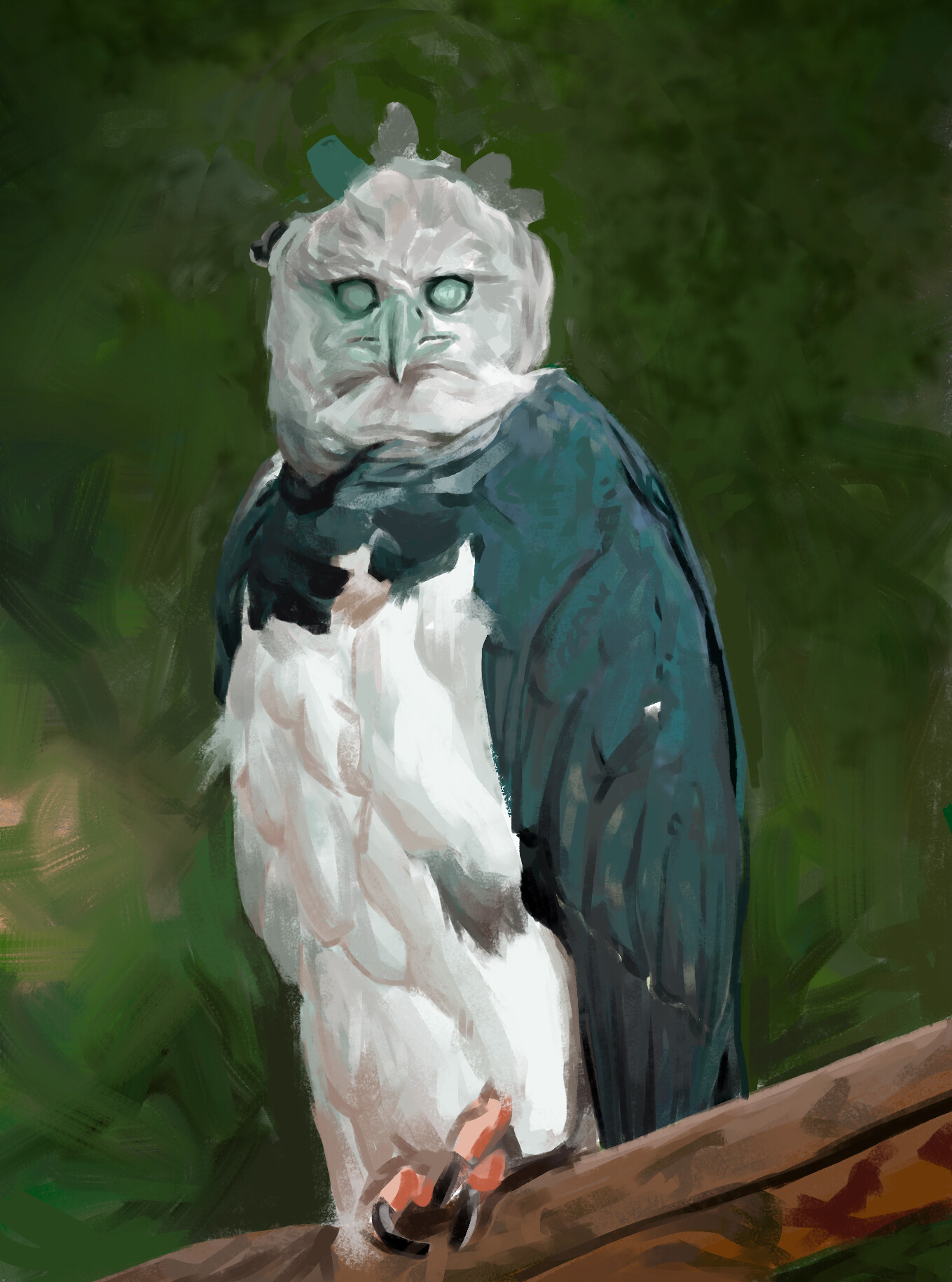 ArtStation - eagles study