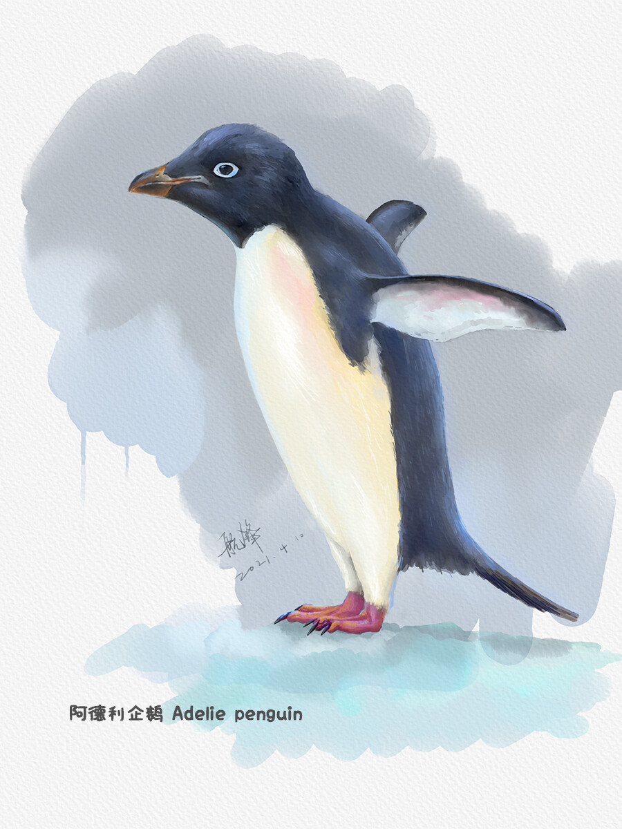 ArtStation - Pygoscelis