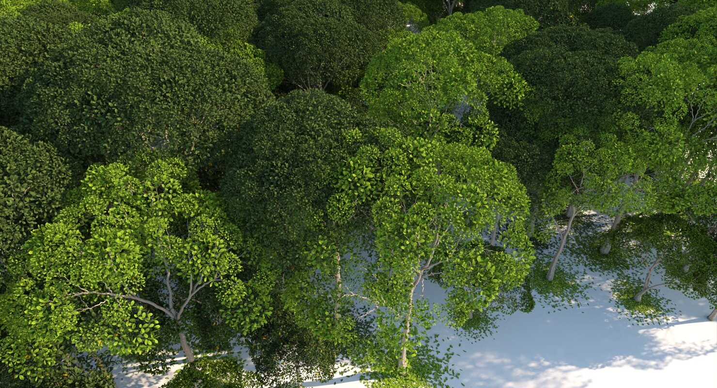 Giimann . - Tree Generator HDA