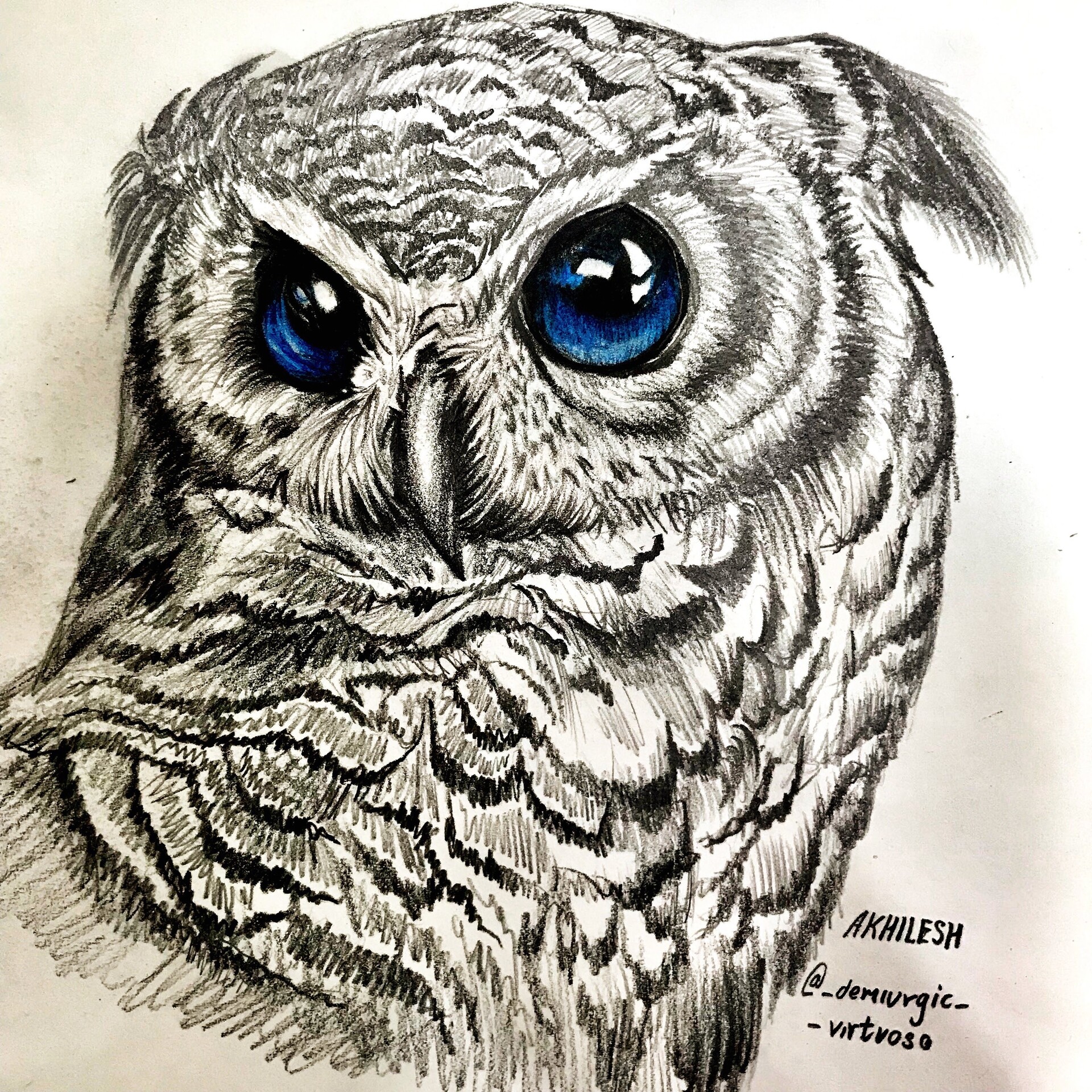 ArtStation - Owl