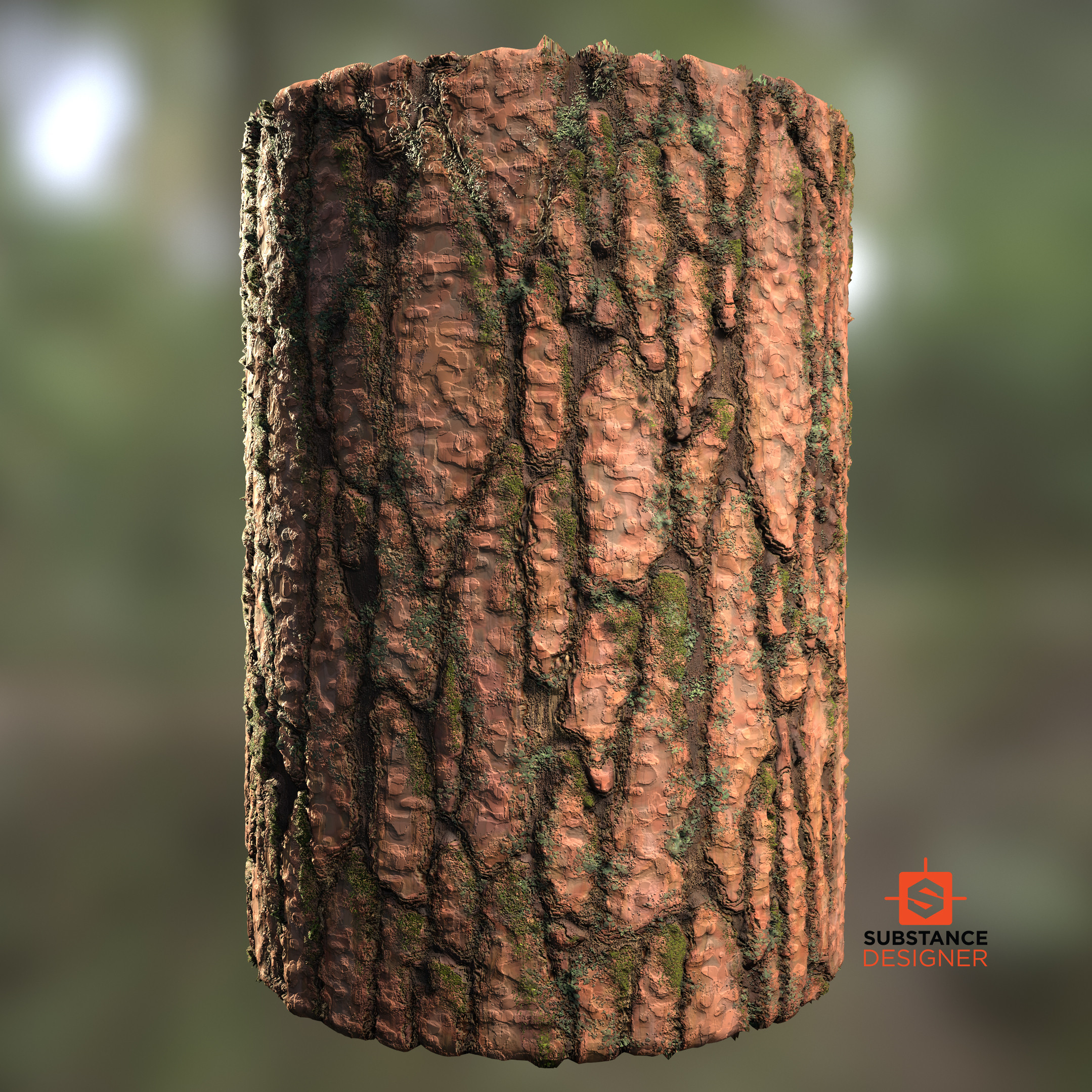 Pinus Sylvestris Bark