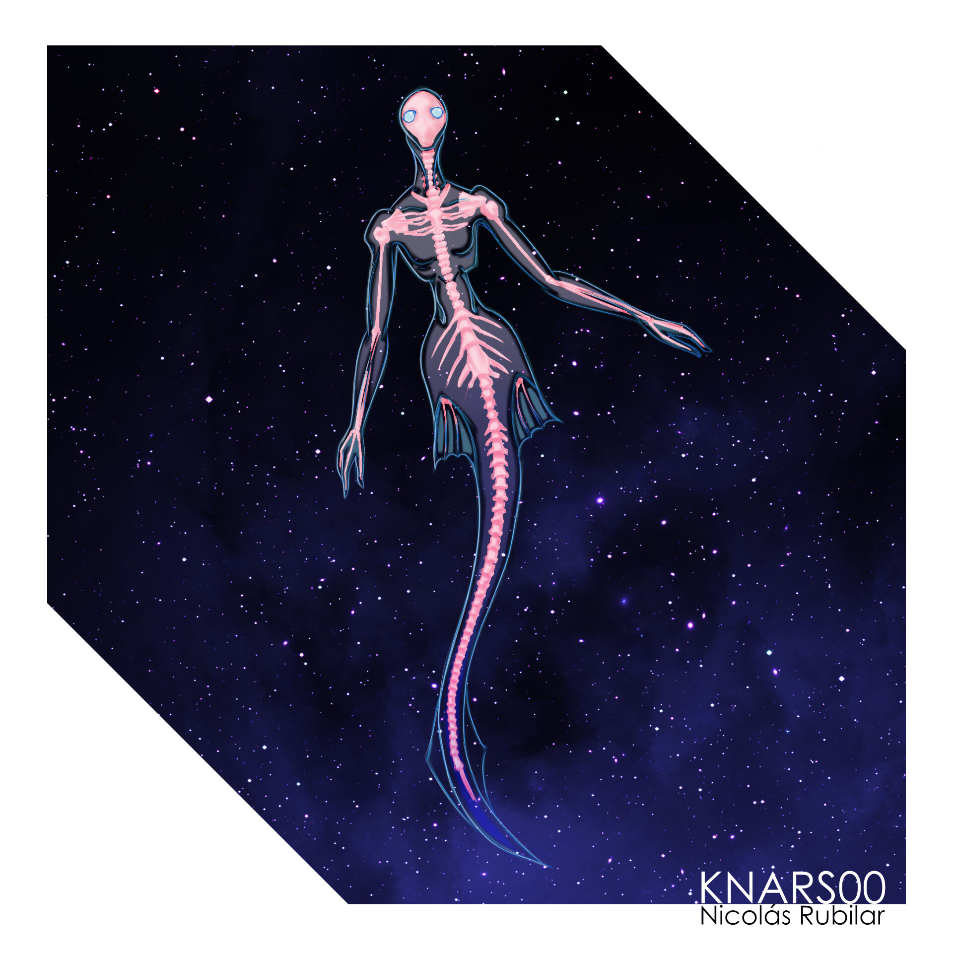 Nicolás Rubilar - Plasma Space Mermay