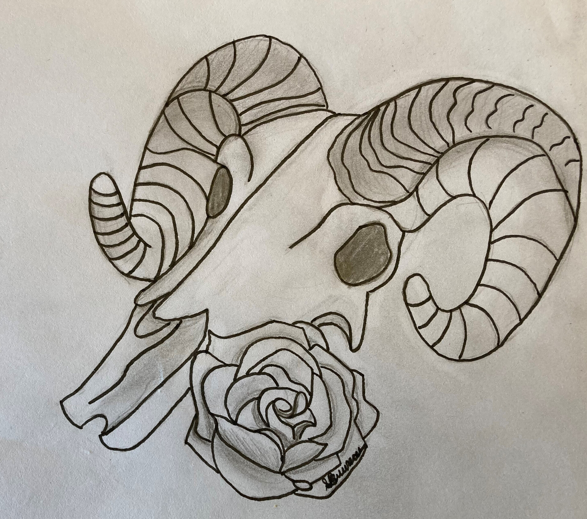 ArtStation - Ram skull sketch