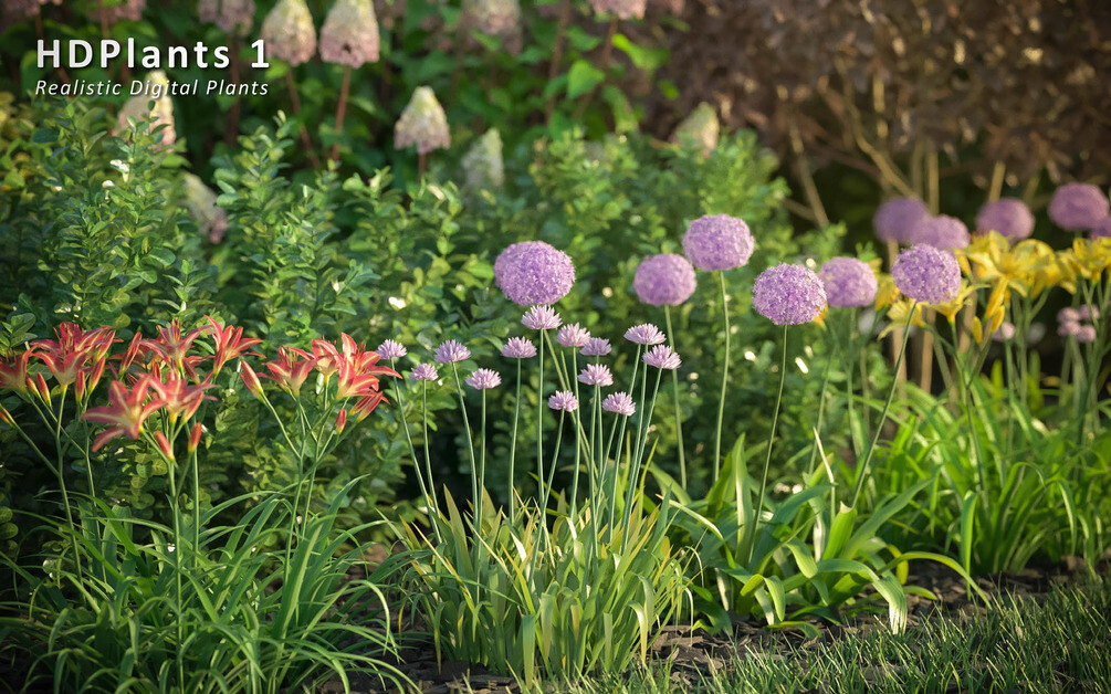 XFROG - HD Plants 1 & 2