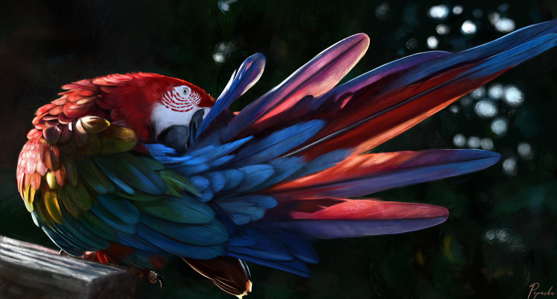 ArtStation - The Elegant Macaw