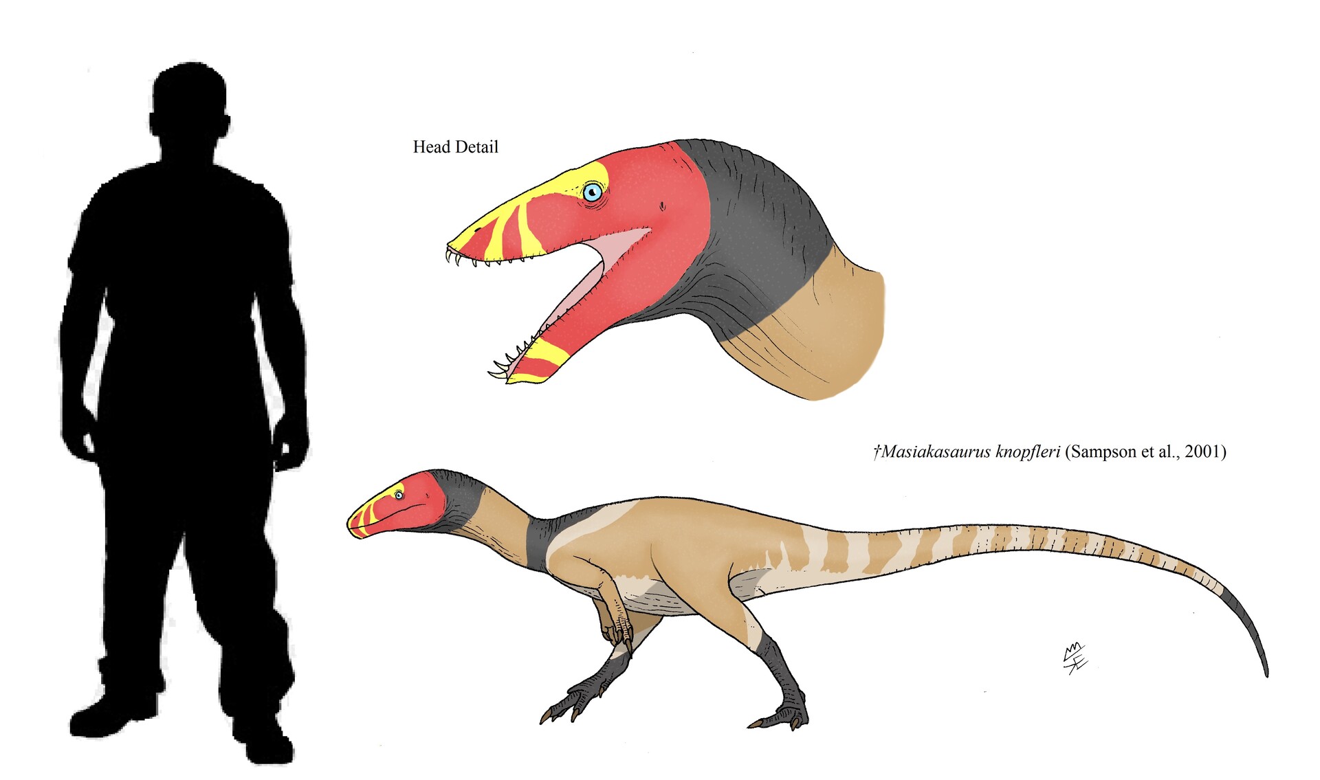 Masiakasaurus By Cisiopurple On DeviantArt, 57% OFF