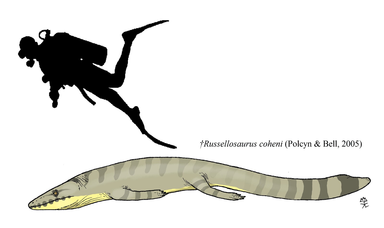 Thomas Sutton - Russellosaurus coheni