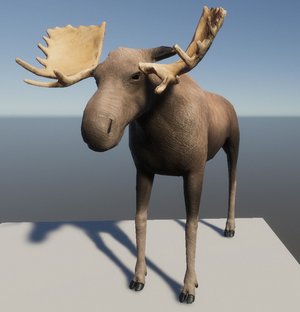 Kaspar Frankish - Moose Breakdown