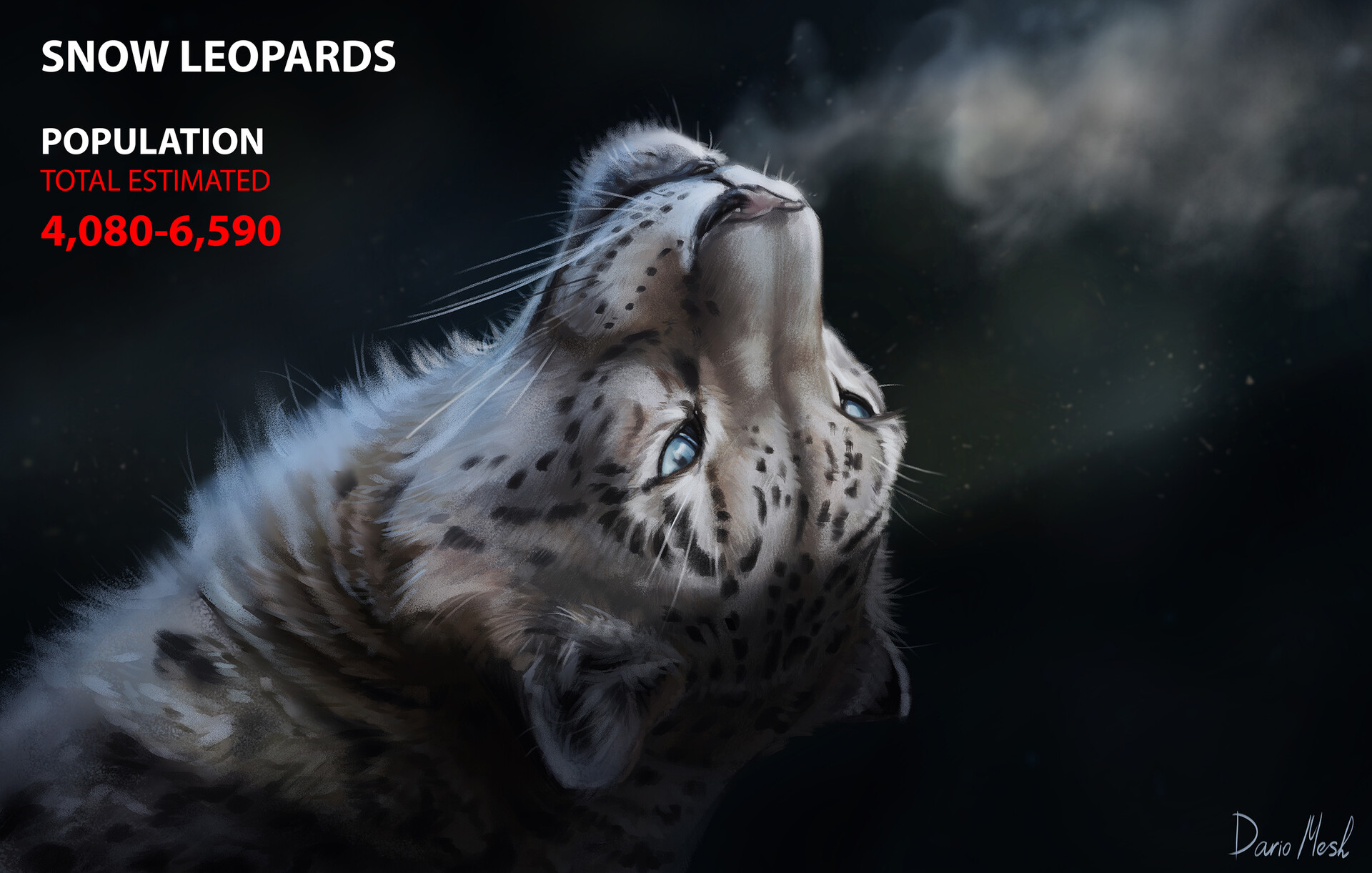 ArtStation - Snow Leopard