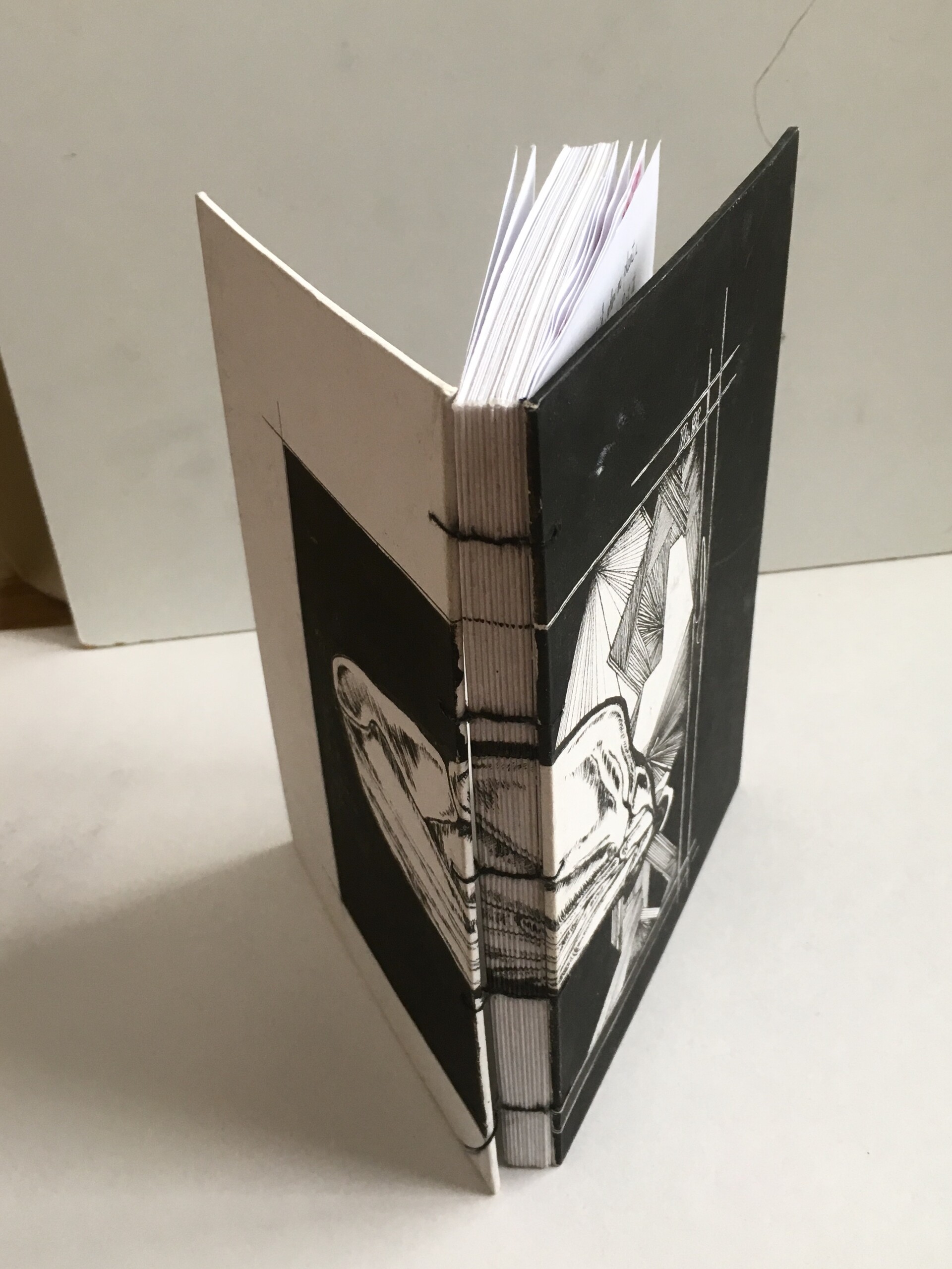 ArtStation - feather book