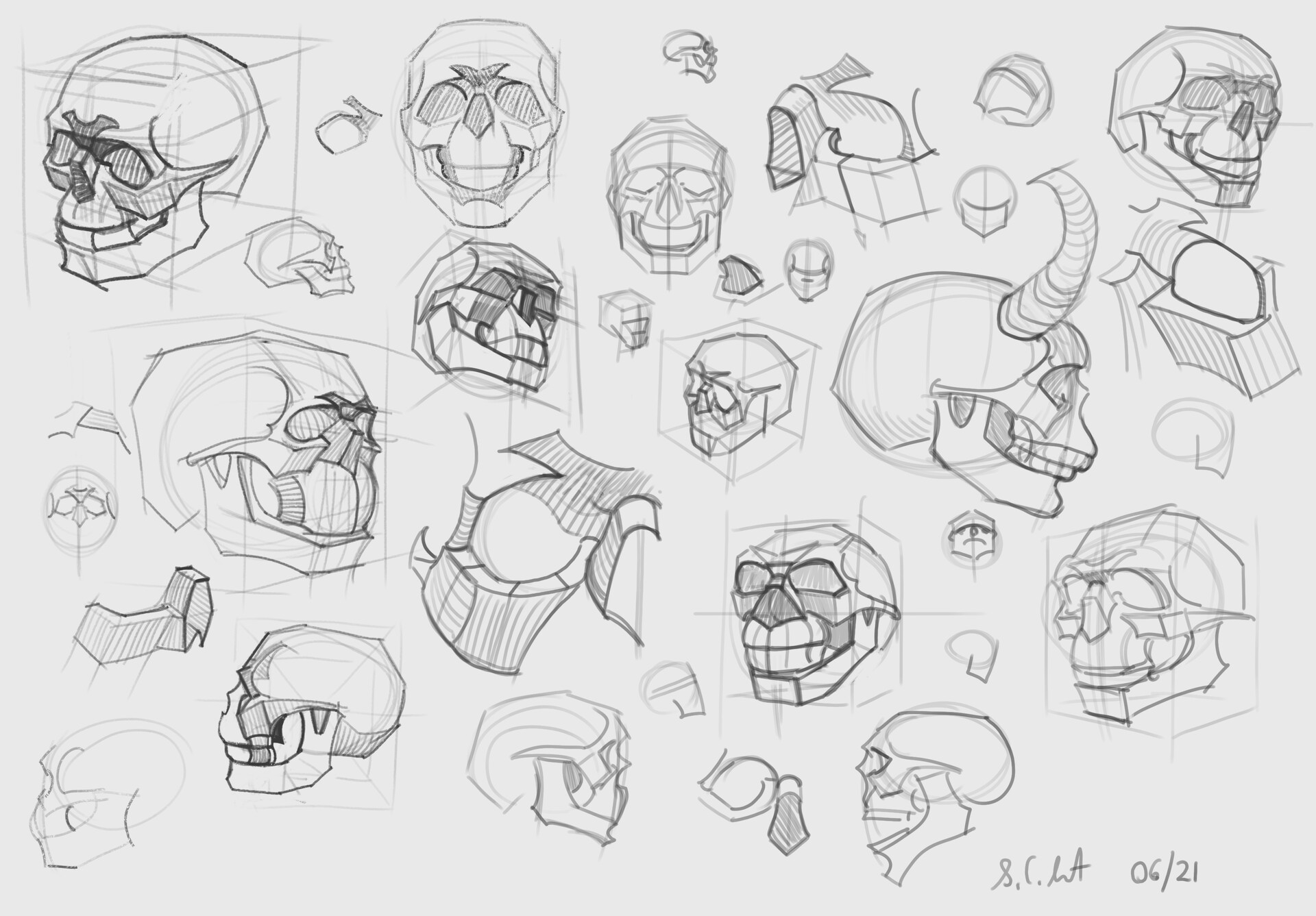ArtStation - Skull Studies 04-06-21