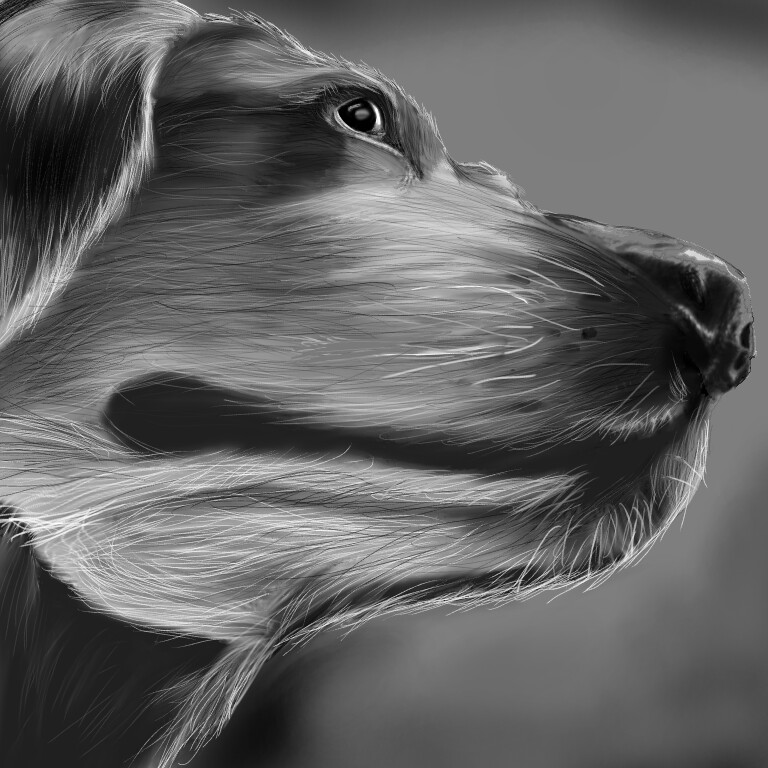ArtStation - Dog Portrait