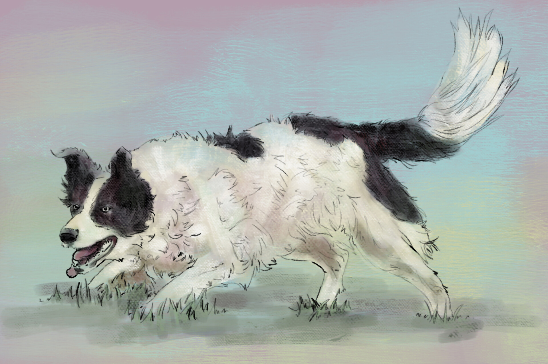 ArtStation - Border Collie