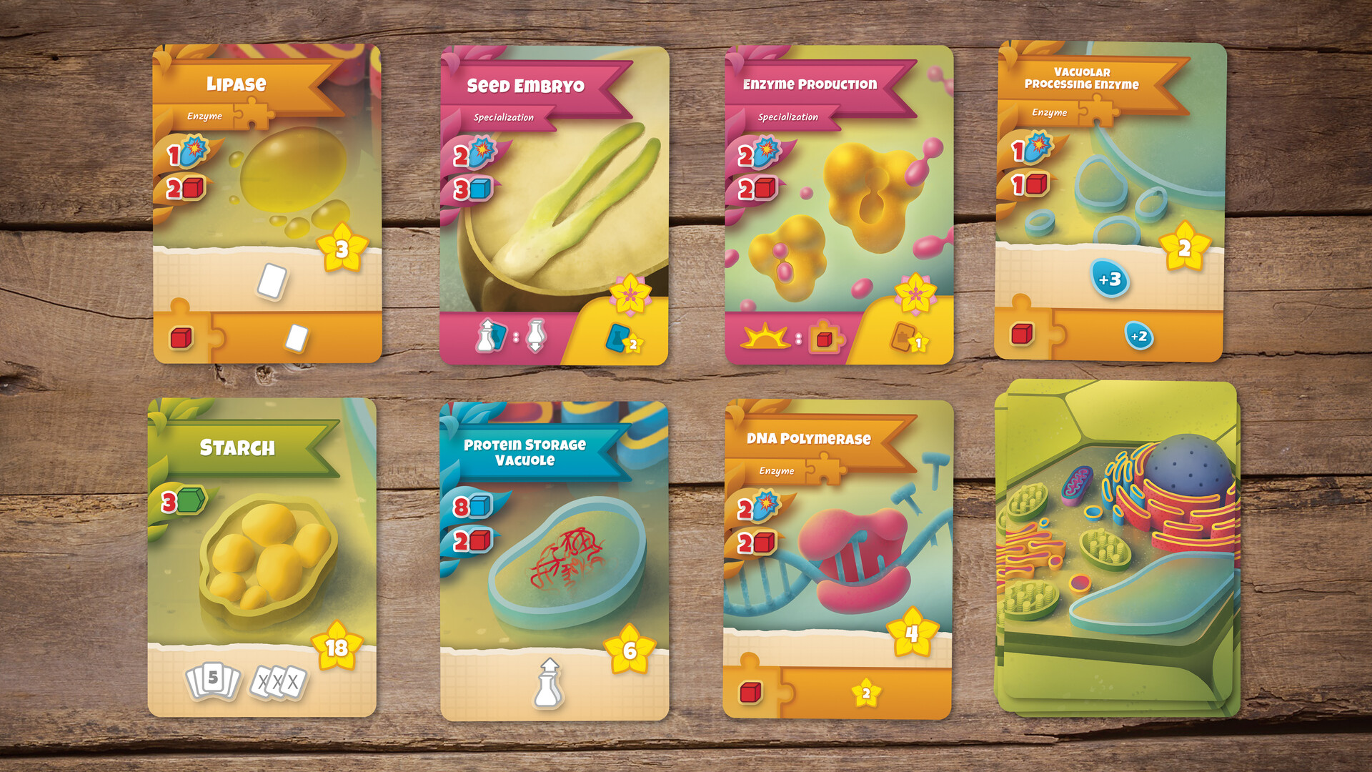 ArtStation - Cellulose: A Plant Cell Biology Game