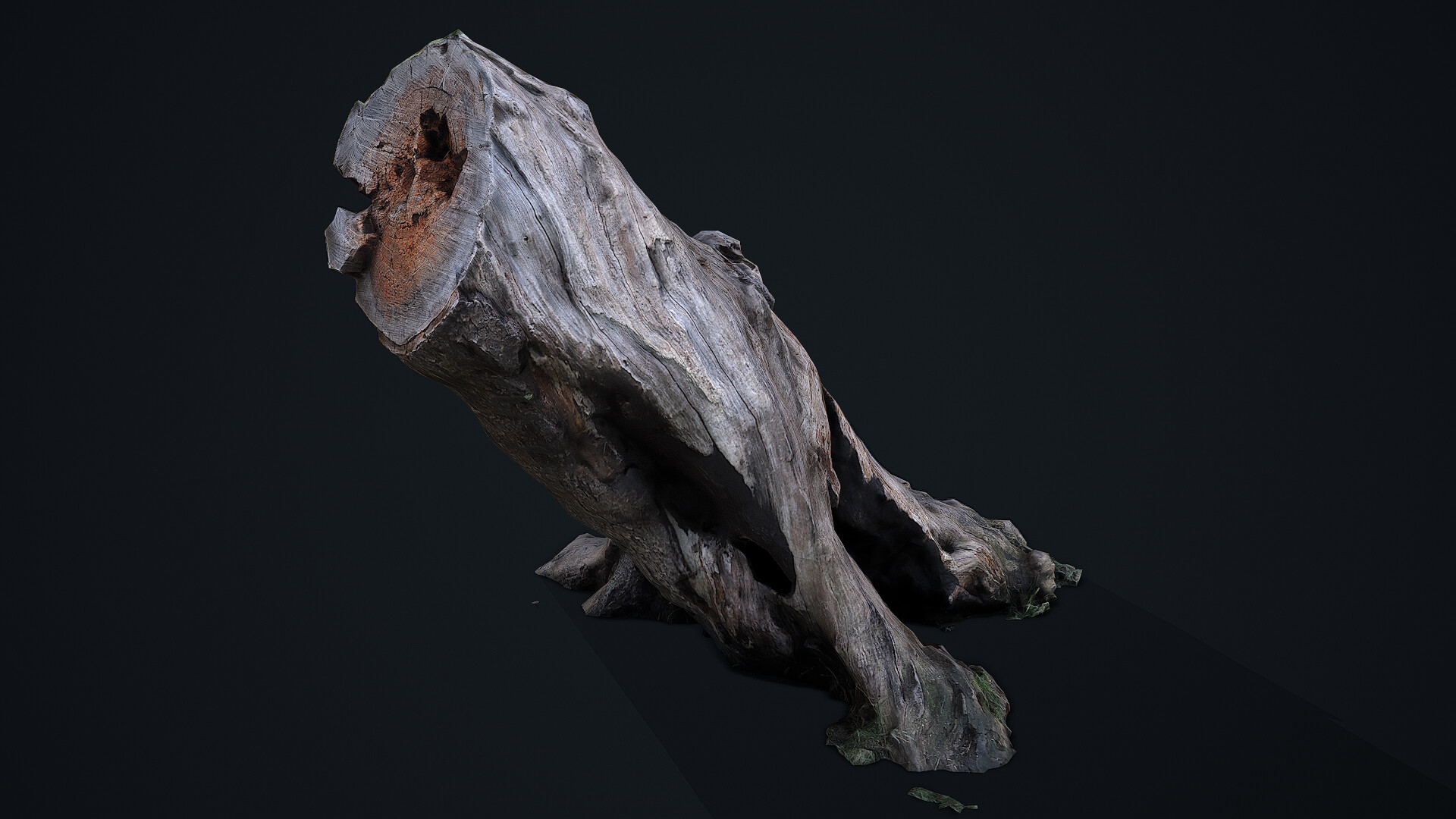 Thomas Boiston - Final Year Project Photogrammetry assets