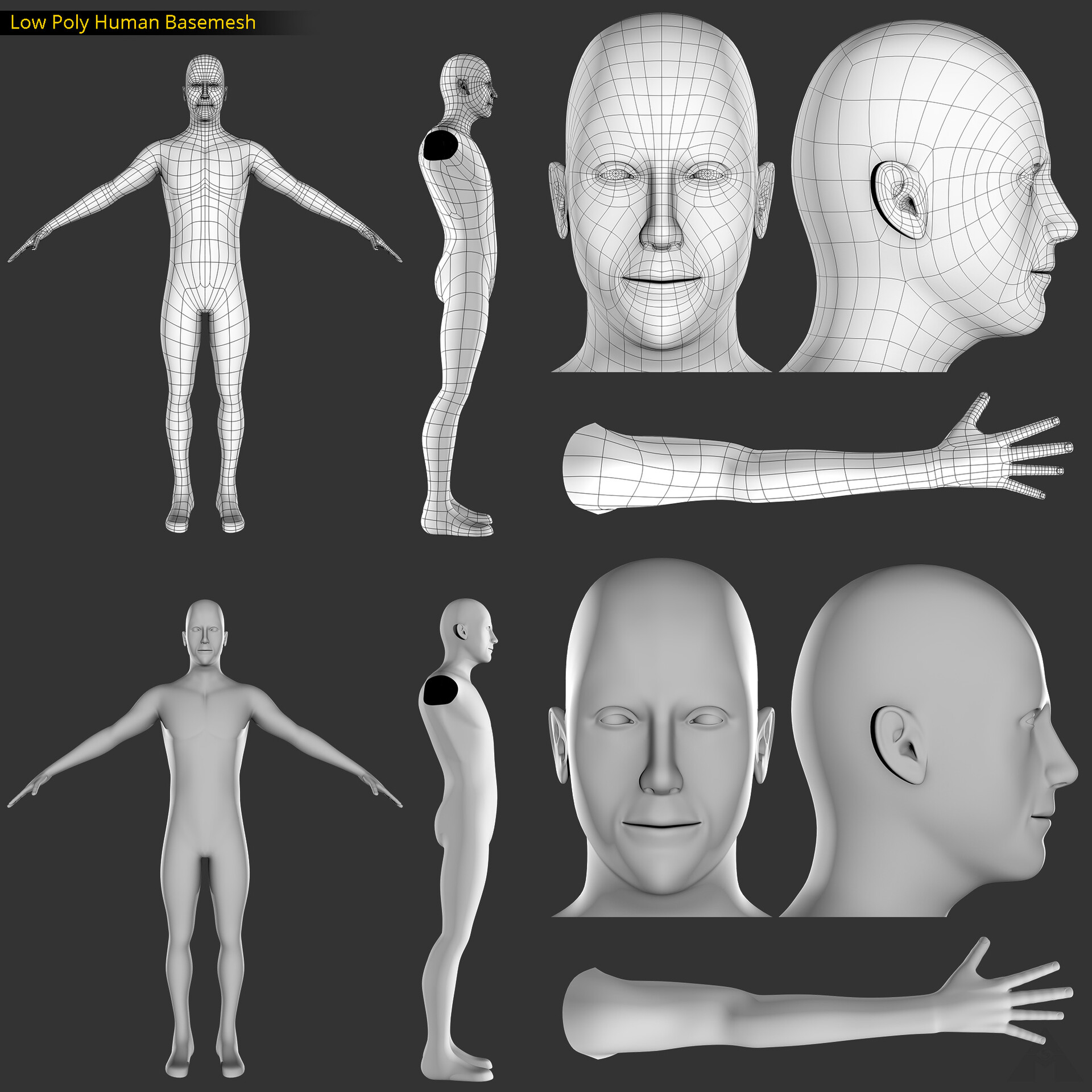 ArtStation - Low Poly Human Basemesh