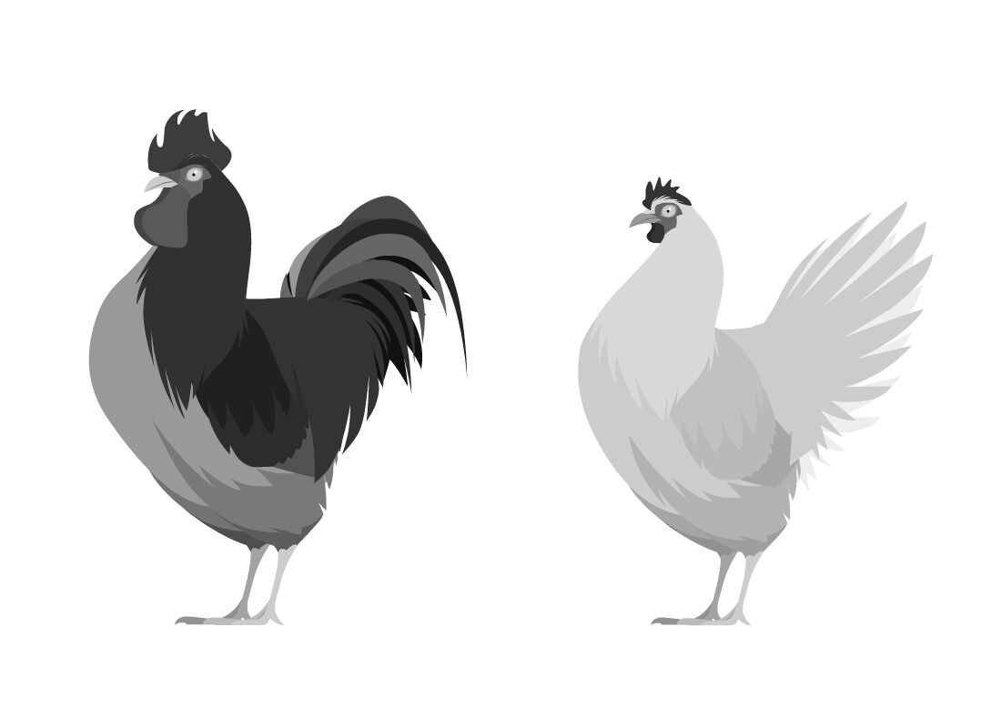 Matt Cassan - Stoked Character Design