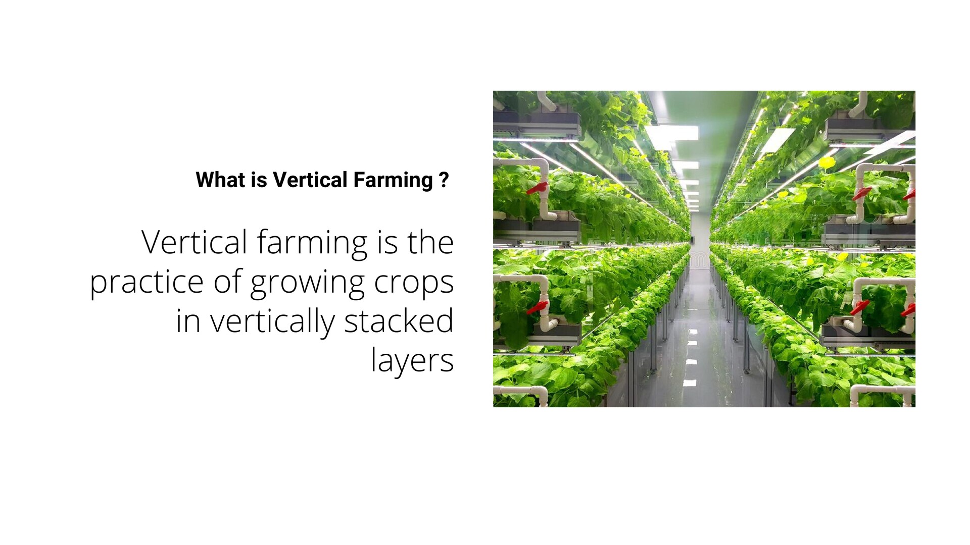 ArtStation - Gurjit Singh Kochar explains the Benefits of vertical ...