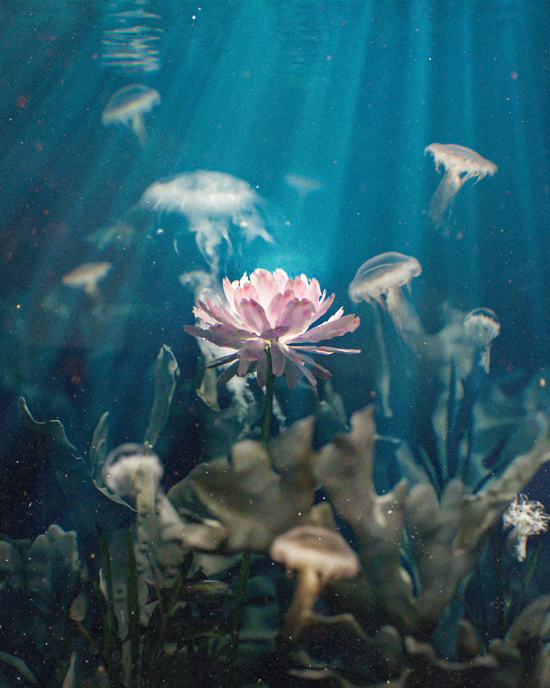 ArtStation - MELLOW DREAM