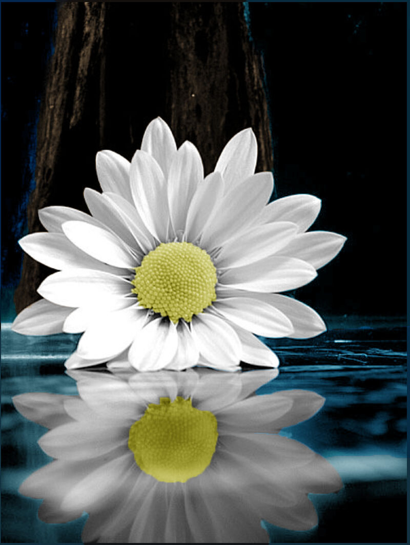 ArtStation - adding color