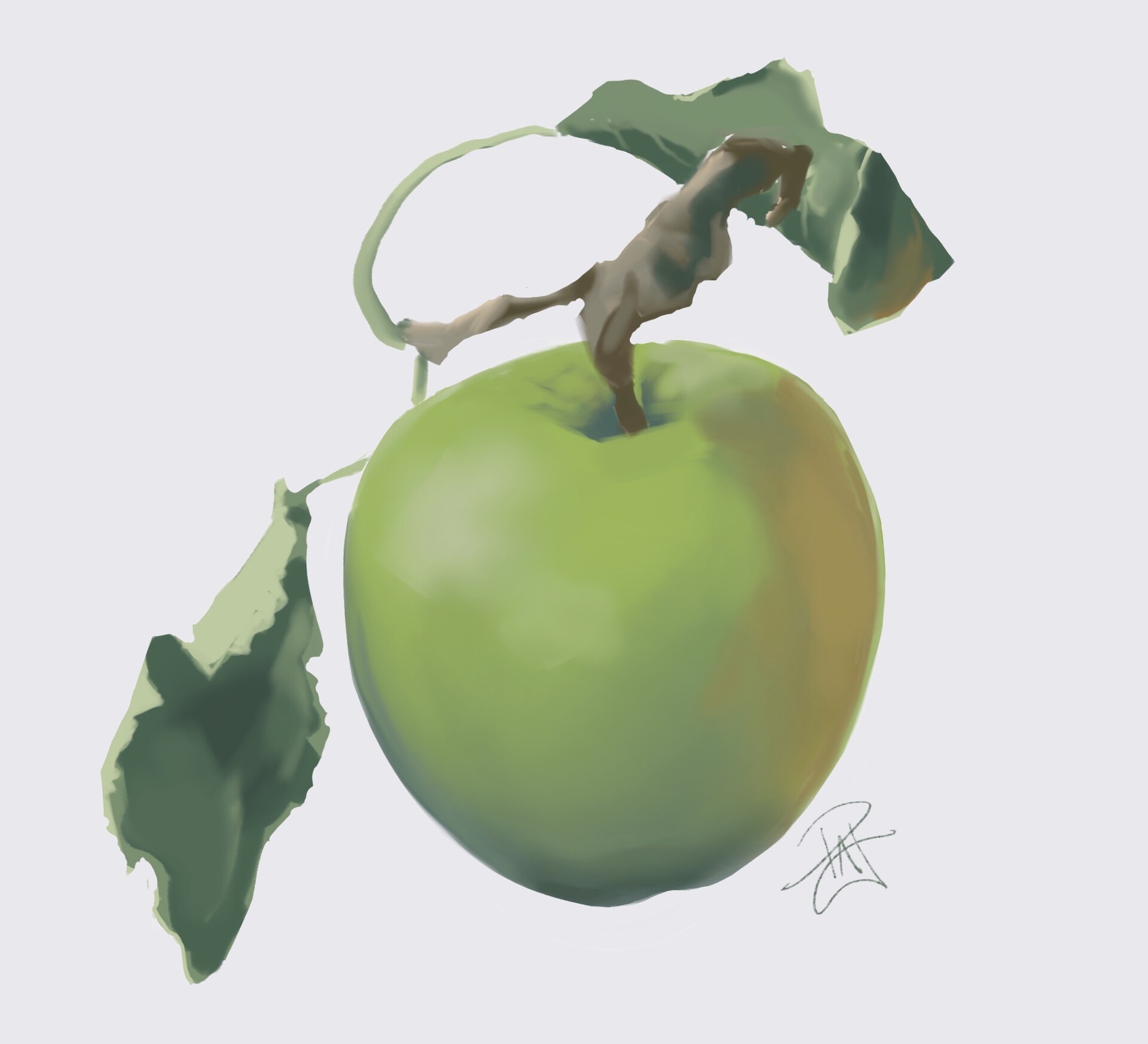 ArtStation - apple study