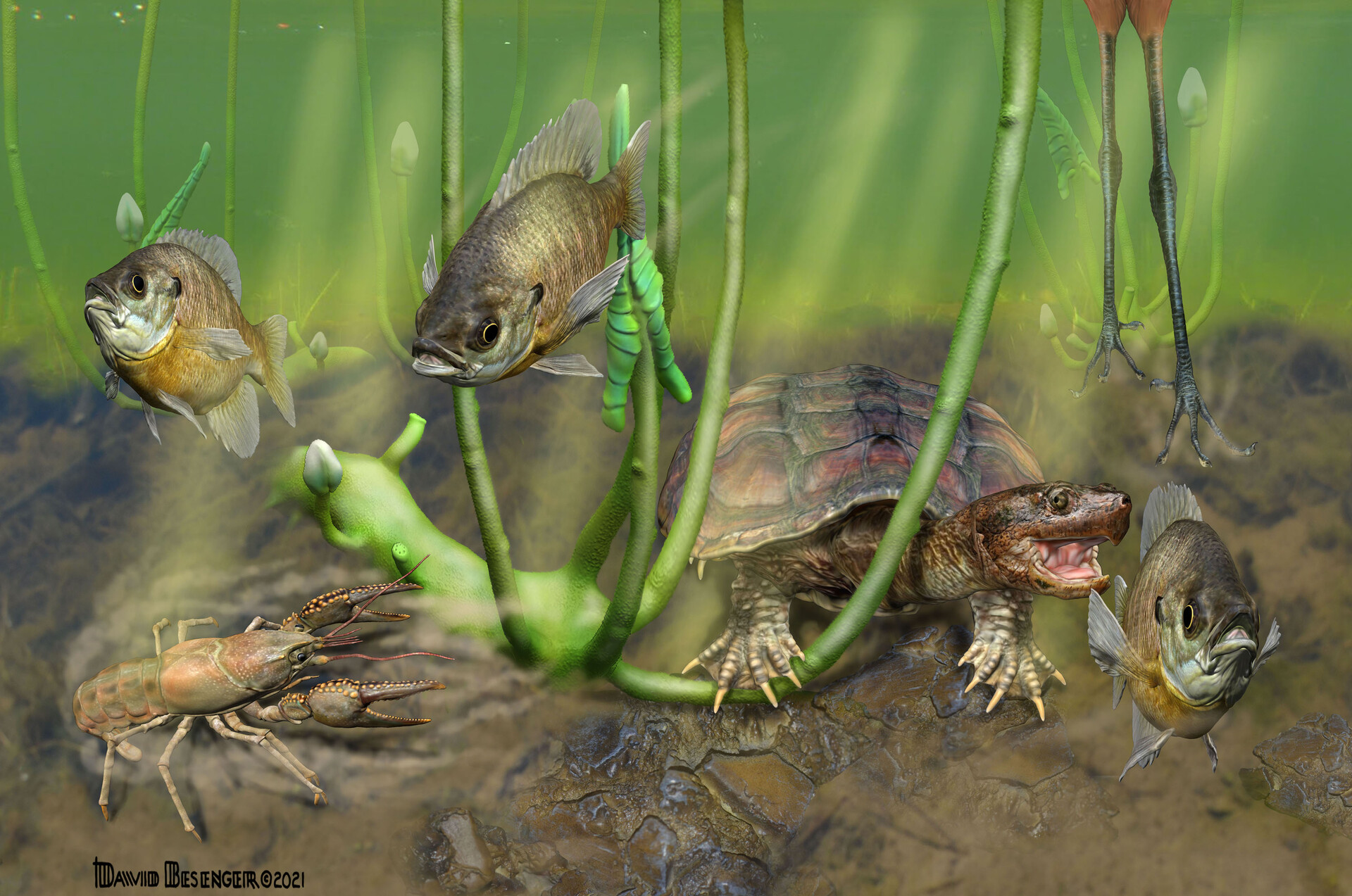 ArtStation - Pond Life (pages 5 and 6)