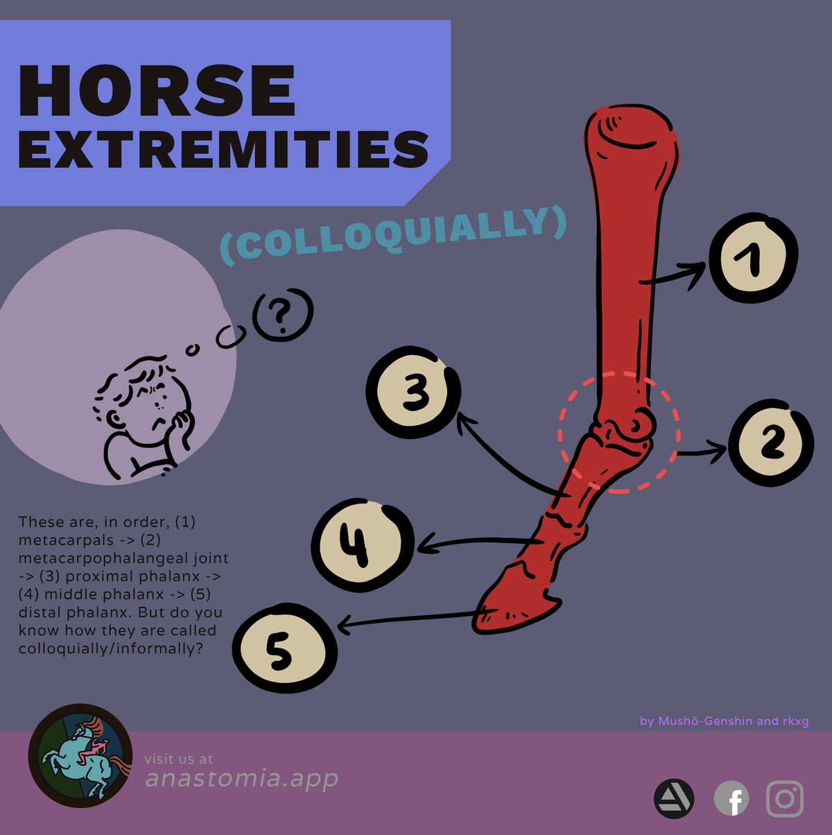 ArtStation - Horse Extremities (Colloquially)