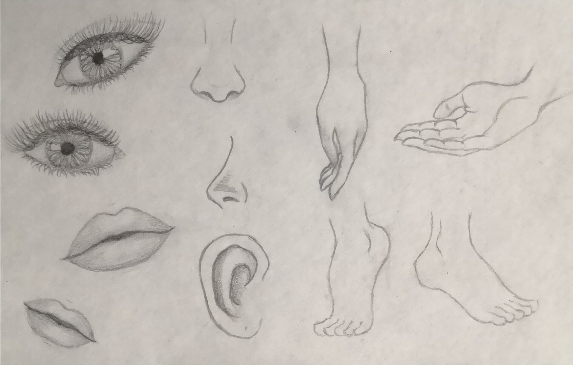 ArtStation - Body Parts