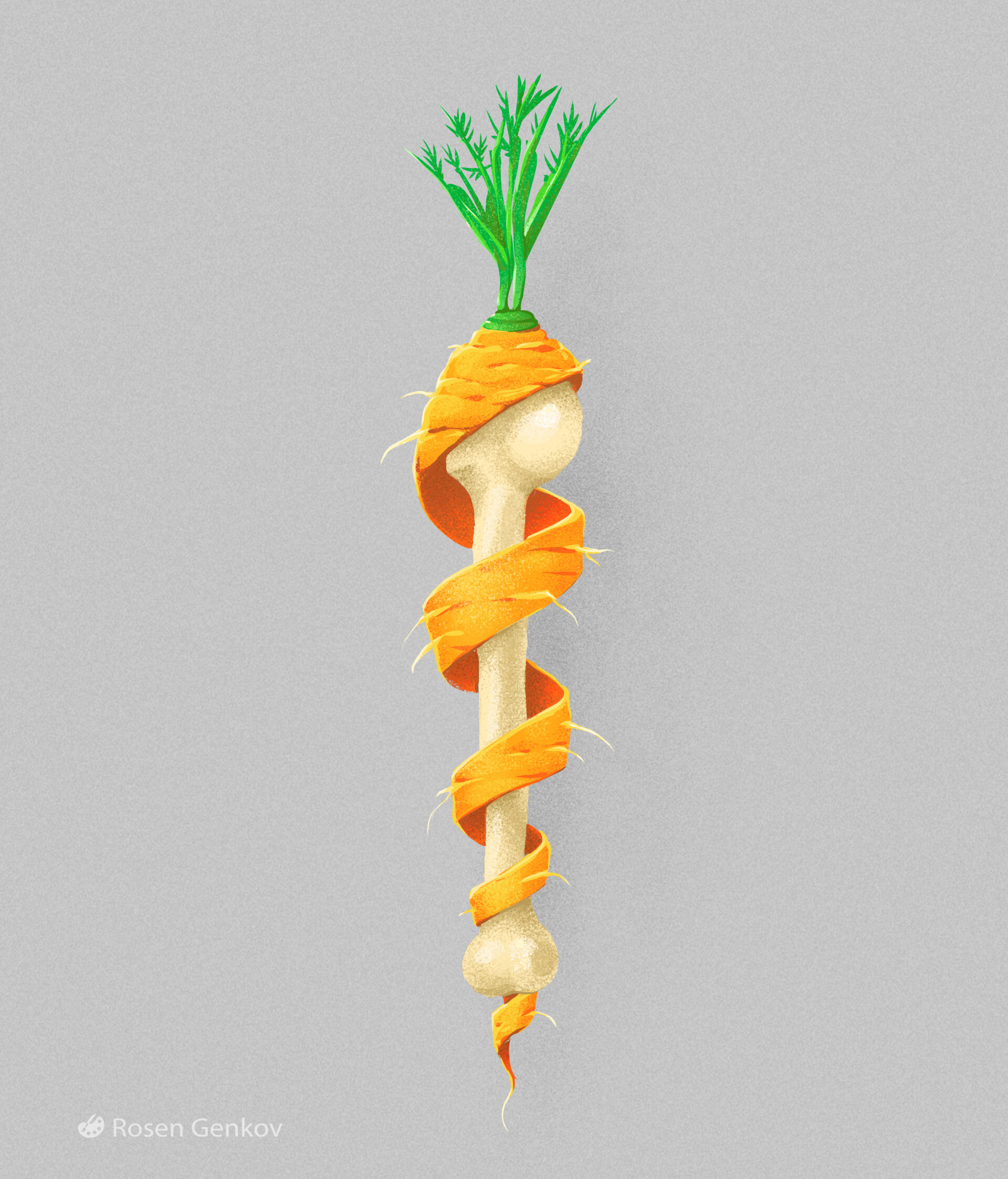 ArtStation - Carrot bone