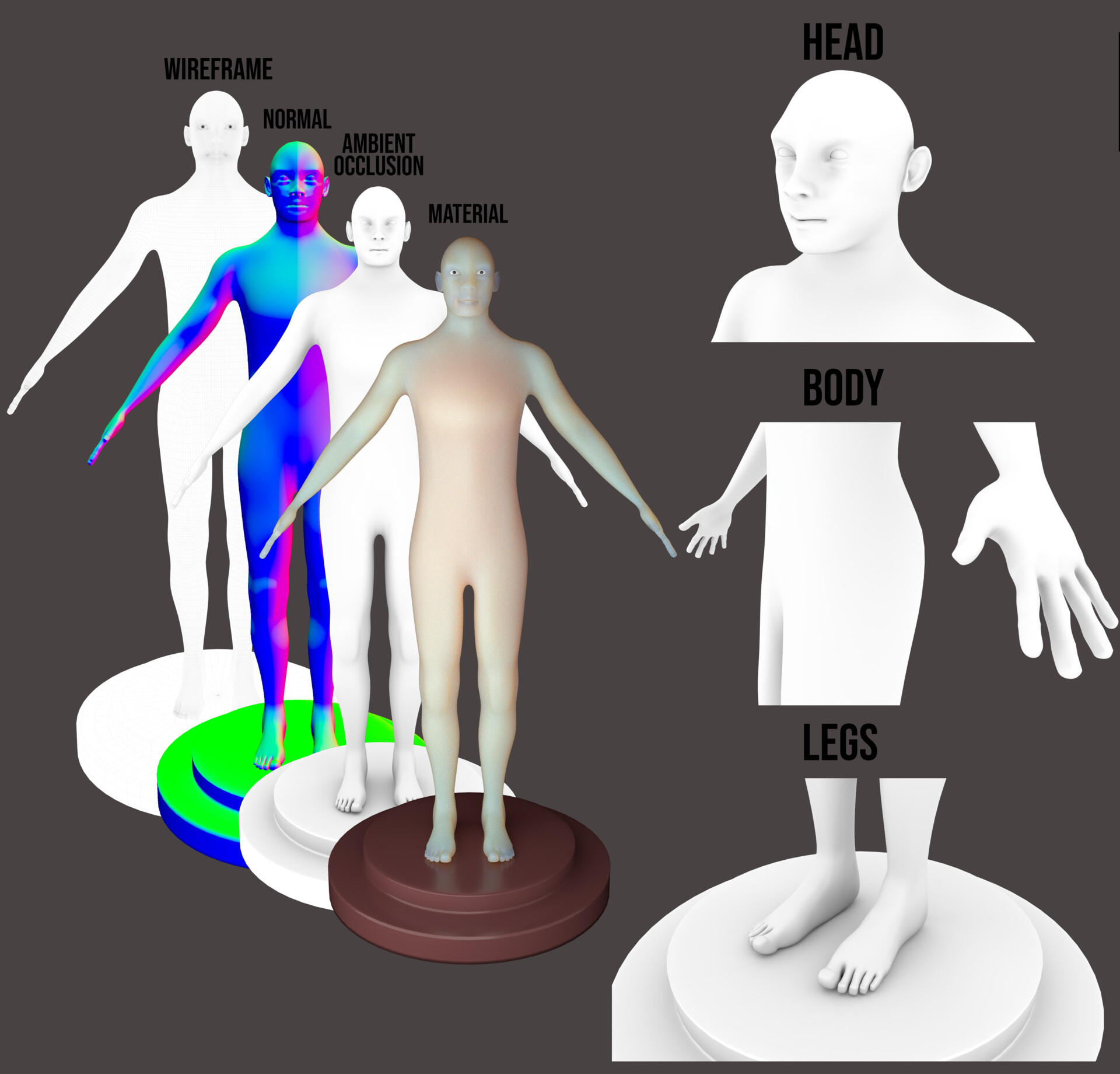 ArtStation - First Biped Model