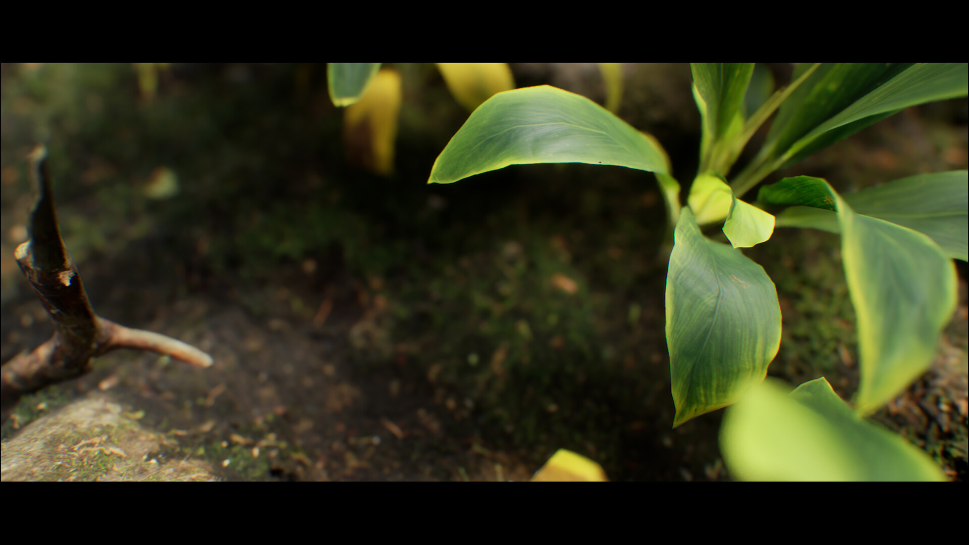 Simon Blakeney - Unreal Engine 5.0 EA + Quixel Megascans - 5 min scene ...