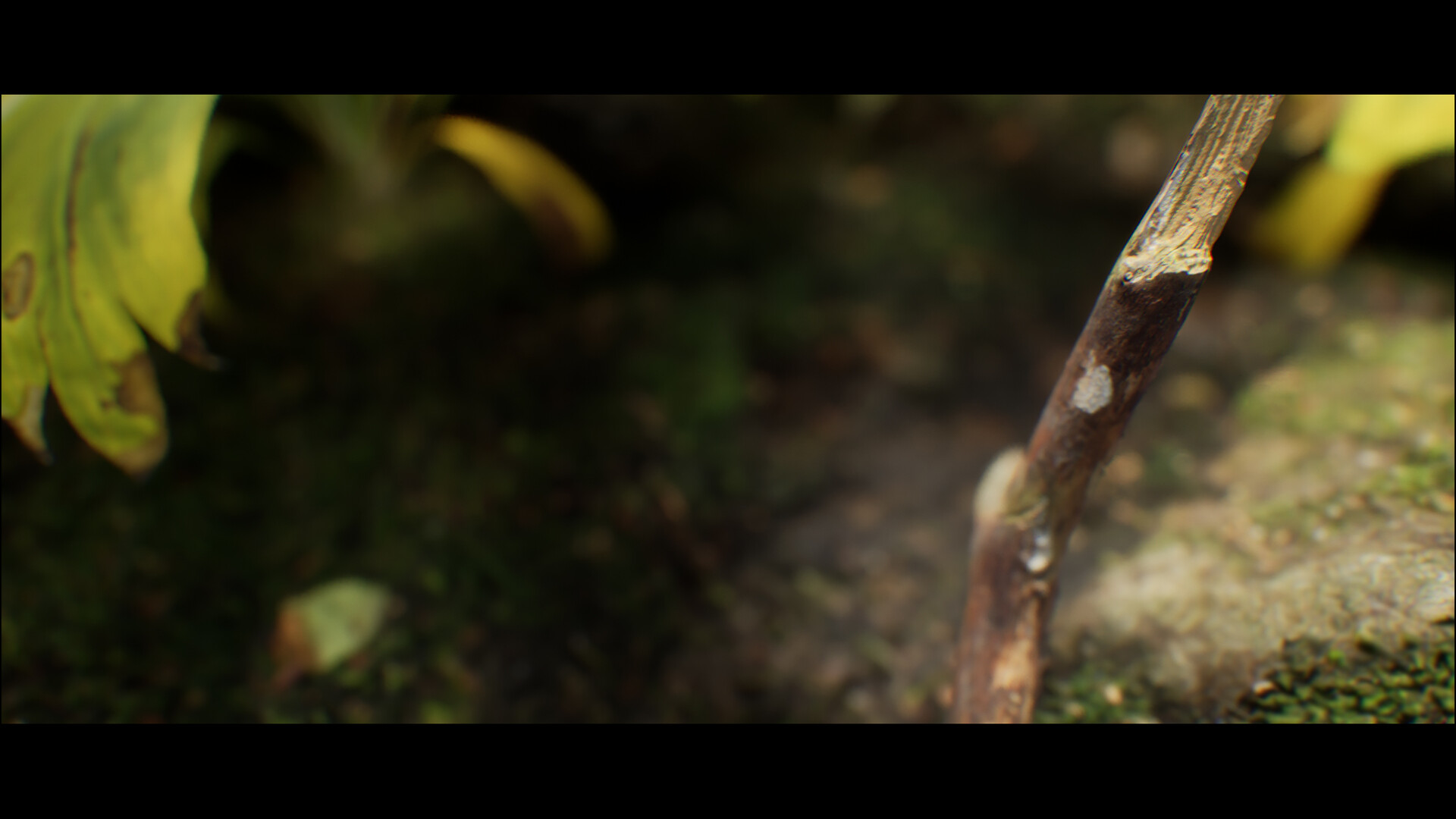 Simon Blakeney - Unreal Engine 5.0 EA + Quixel Megascans - 5 min scene ...