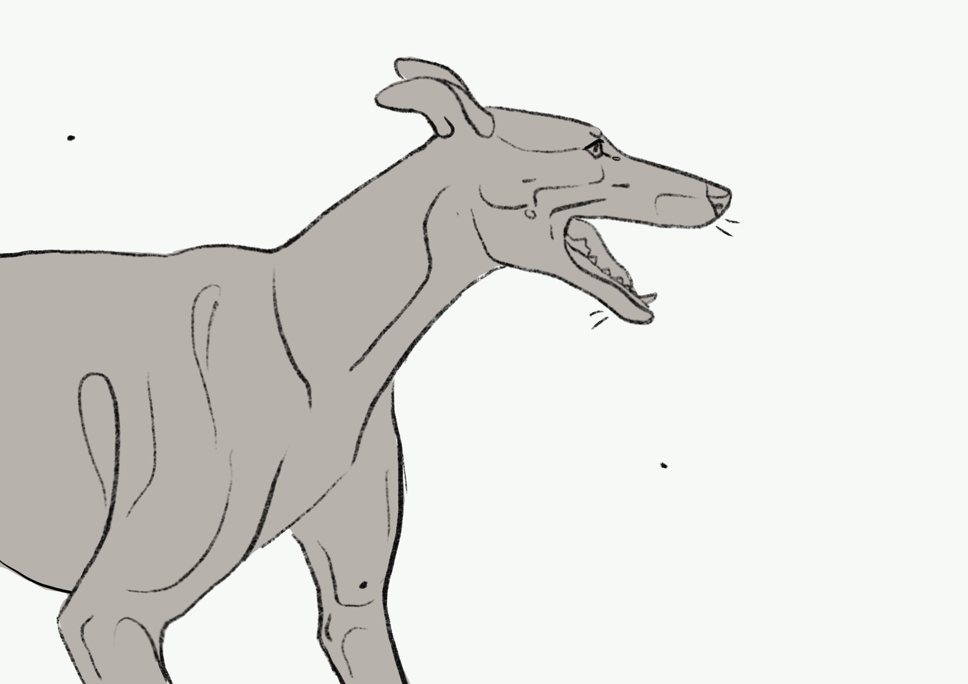 ArtStation - Animation: greyhound walk circle