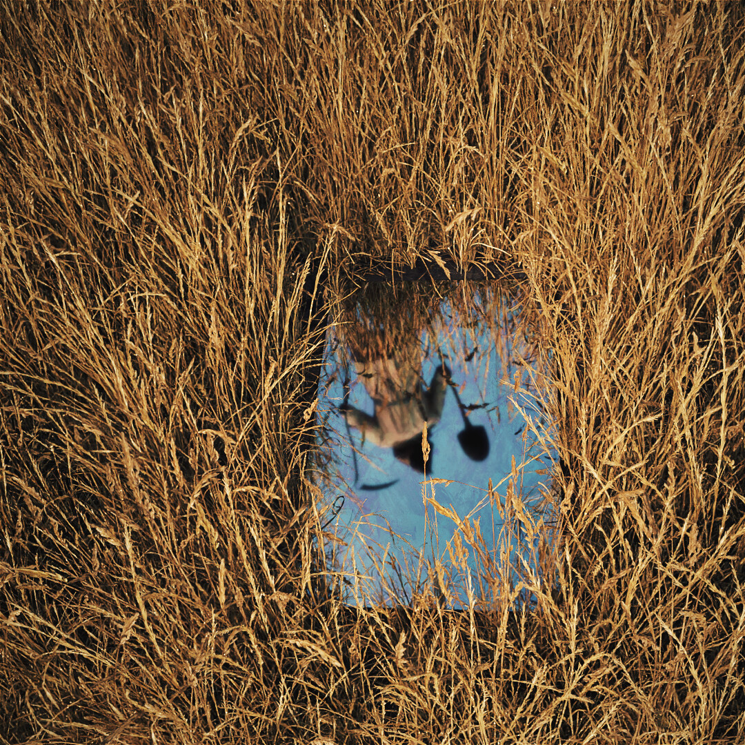 ArtStation - Static Life