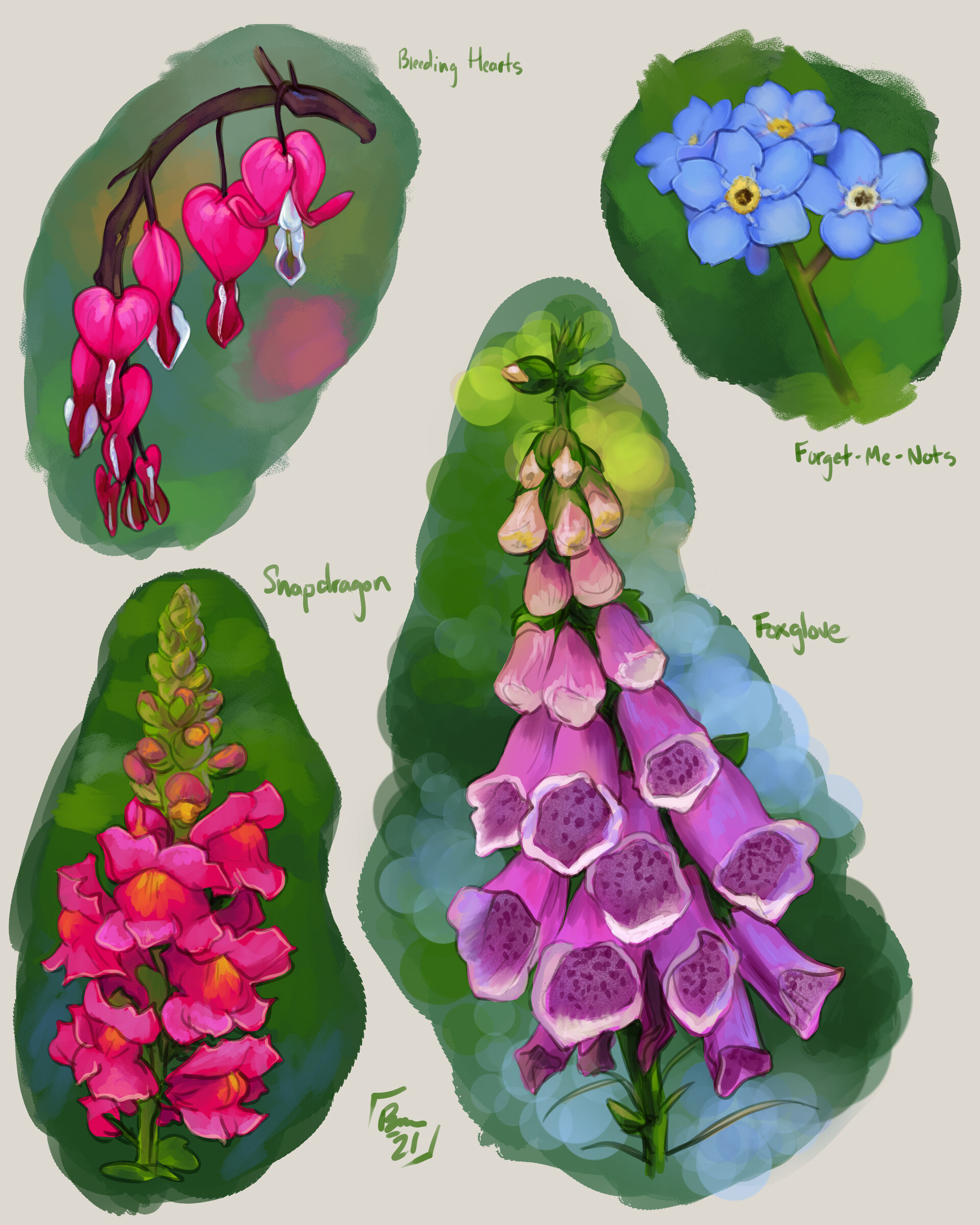ArtStation - Floral Studies