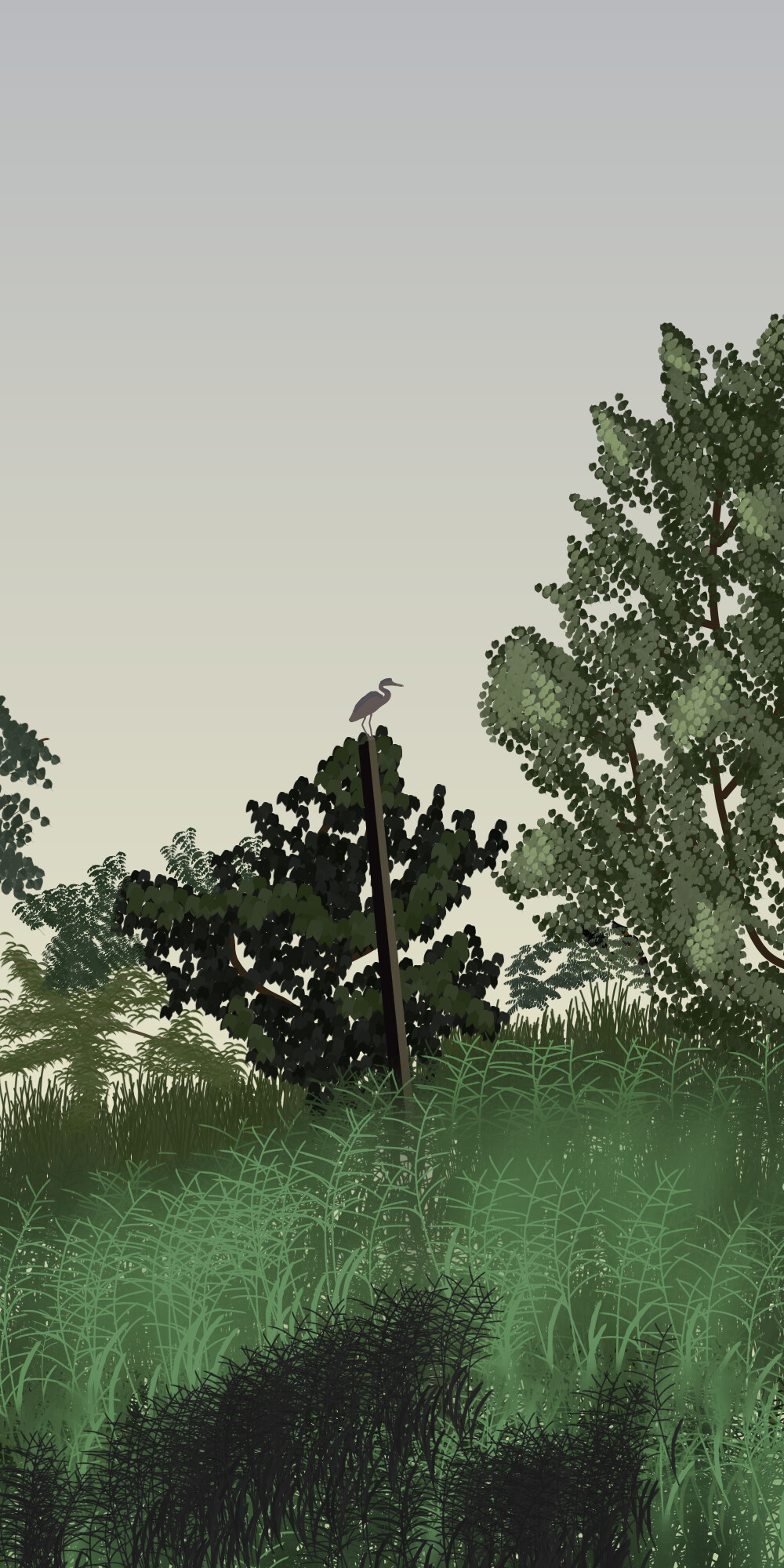 ArtStation - Bird post