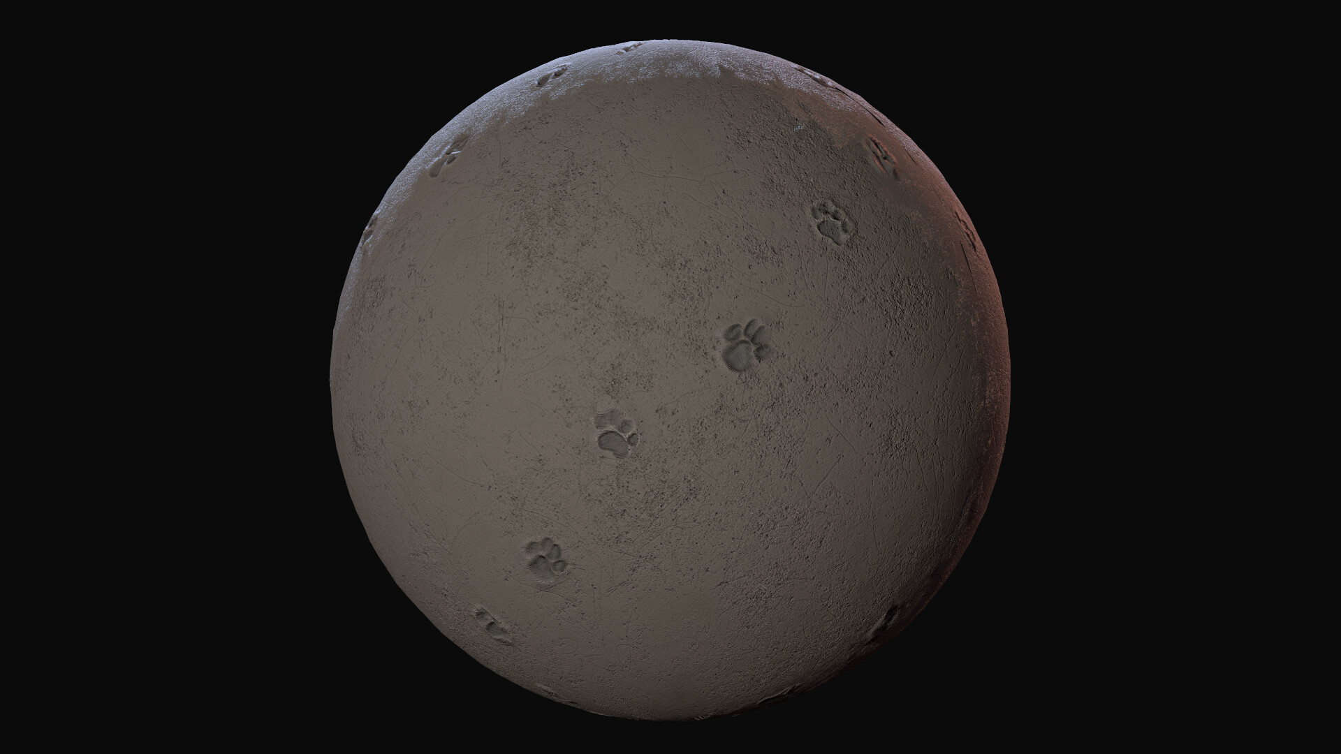 Molly Entwistle - Concrete Paw Prints