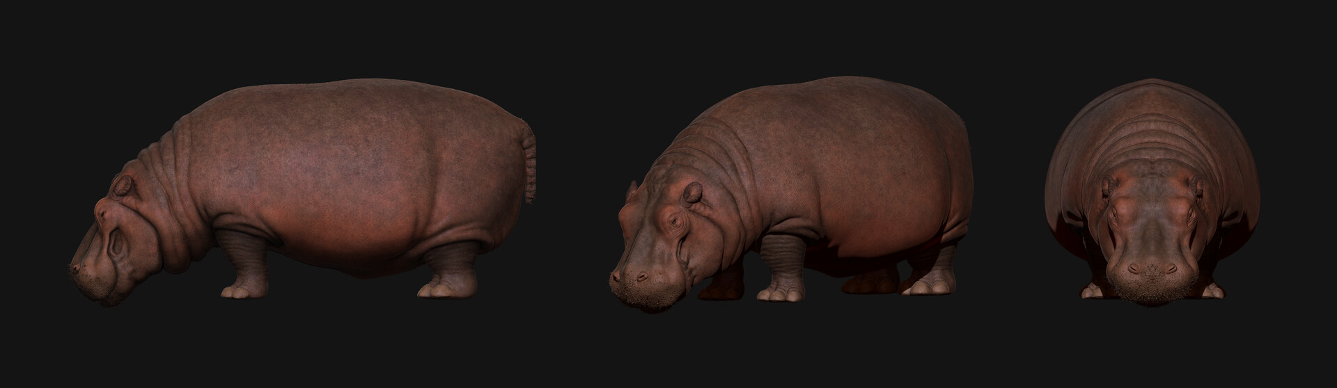 ArtStation - Hippo